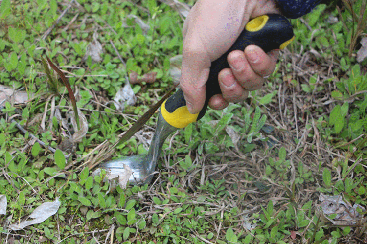 Watch Hand Weeder Tool, Stainless Manual Weed on Amazon Live