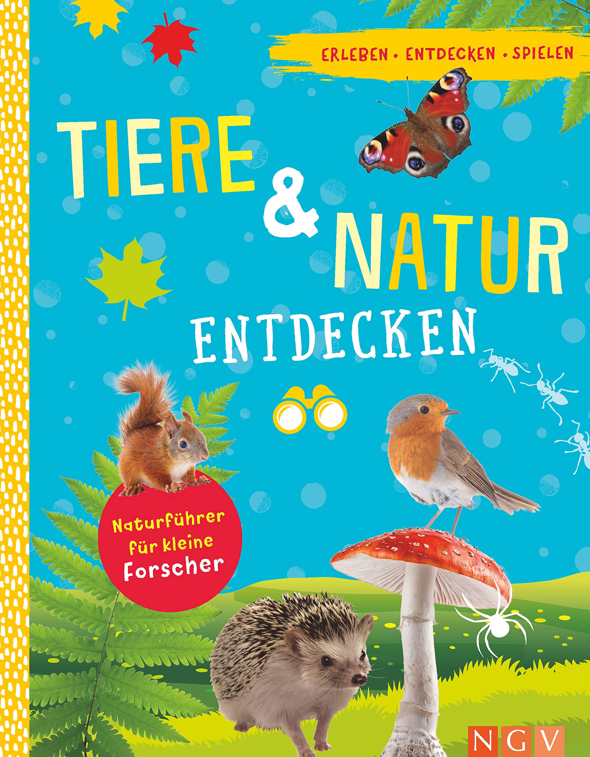 Tiere und Natur entdecken: Erleben - Entdecken - Spielen : .: Amazon.de ...