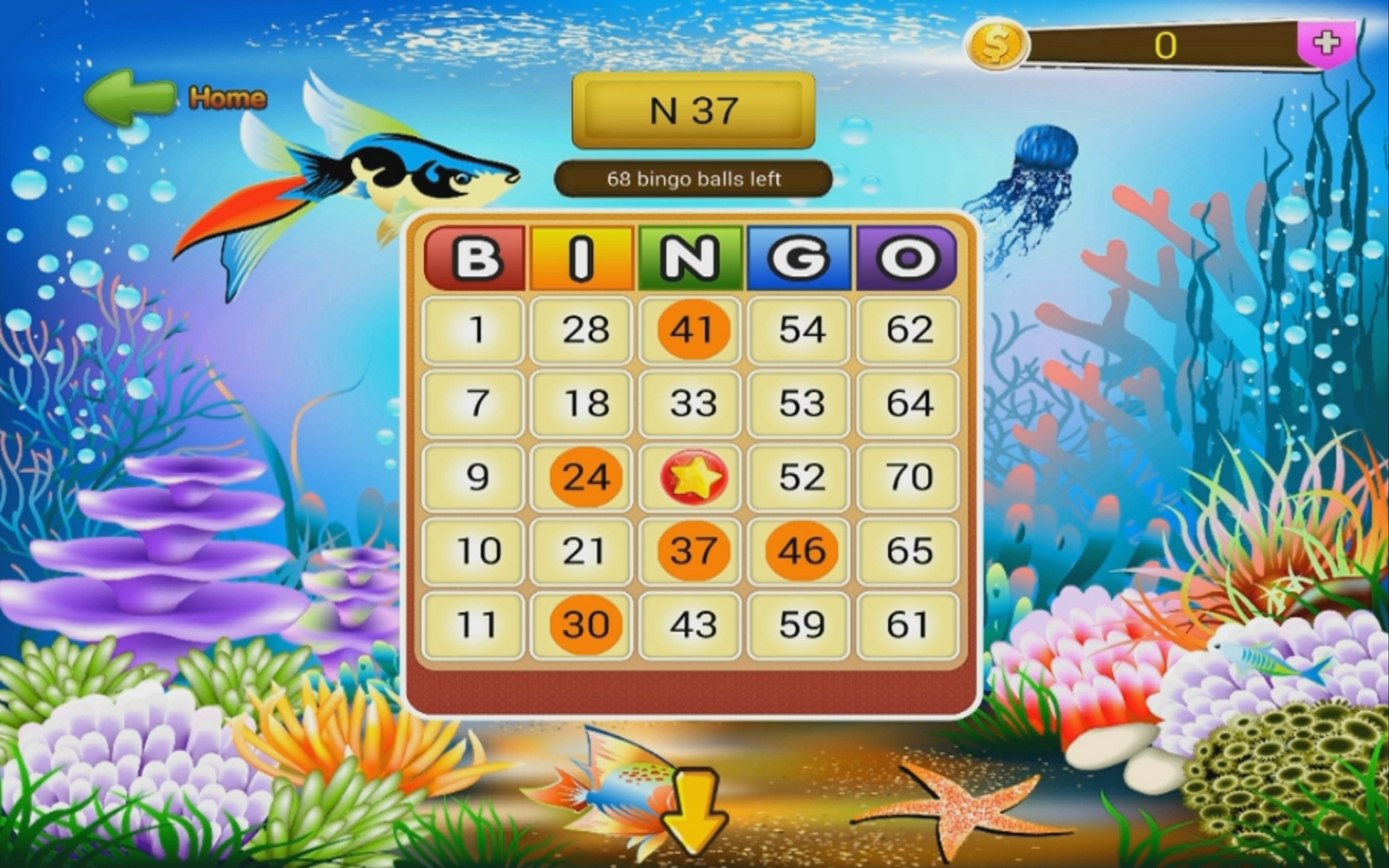 Big Fun Bingo Fish Beach Party Heaven Games Free - App on the Amazon ...