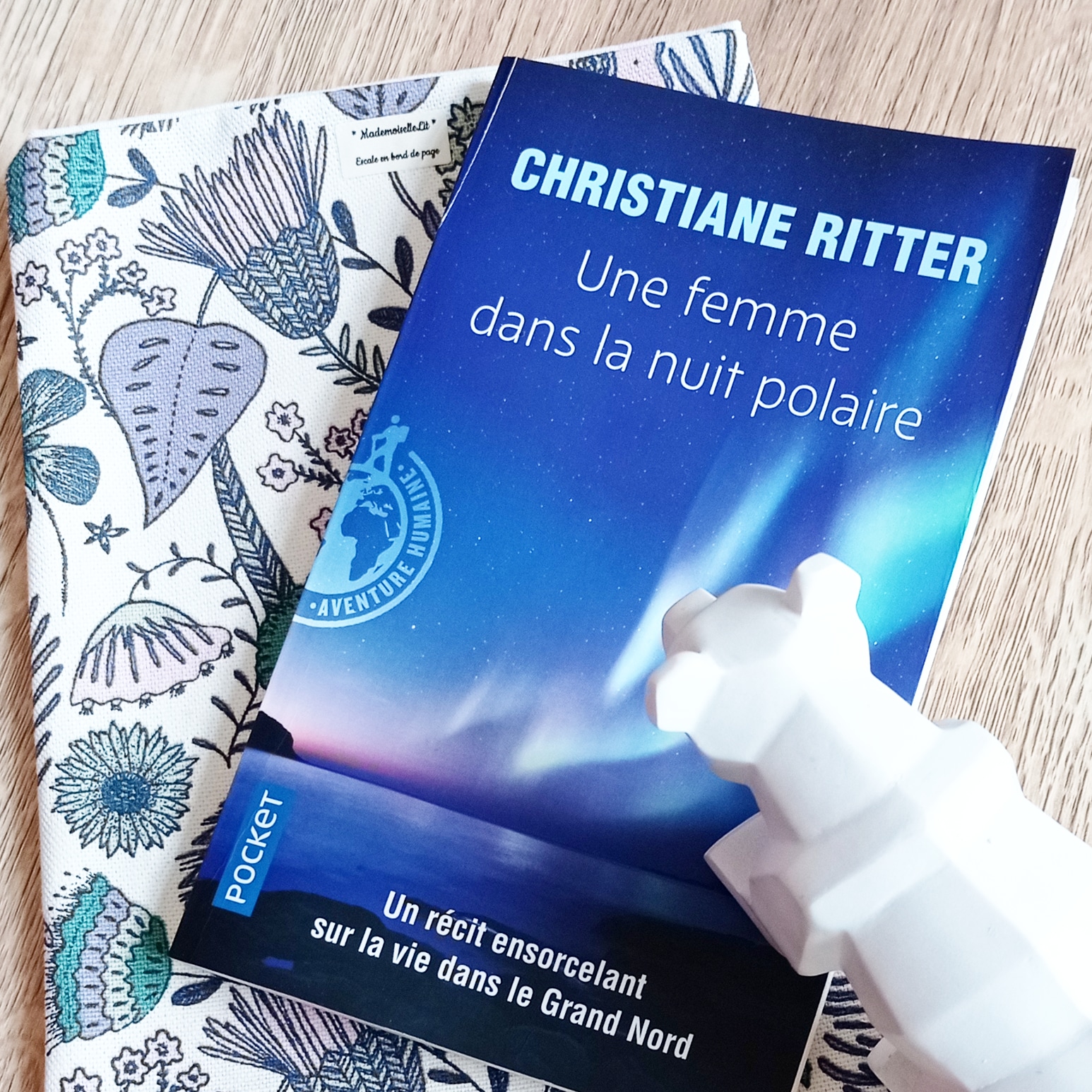 Amazon.fr - Une femme dans la nuit polaire - Ritter, Christiane, Roth ...