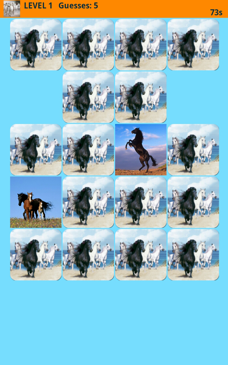 Horses Memory Game:Amazon.de:Appstore for Android