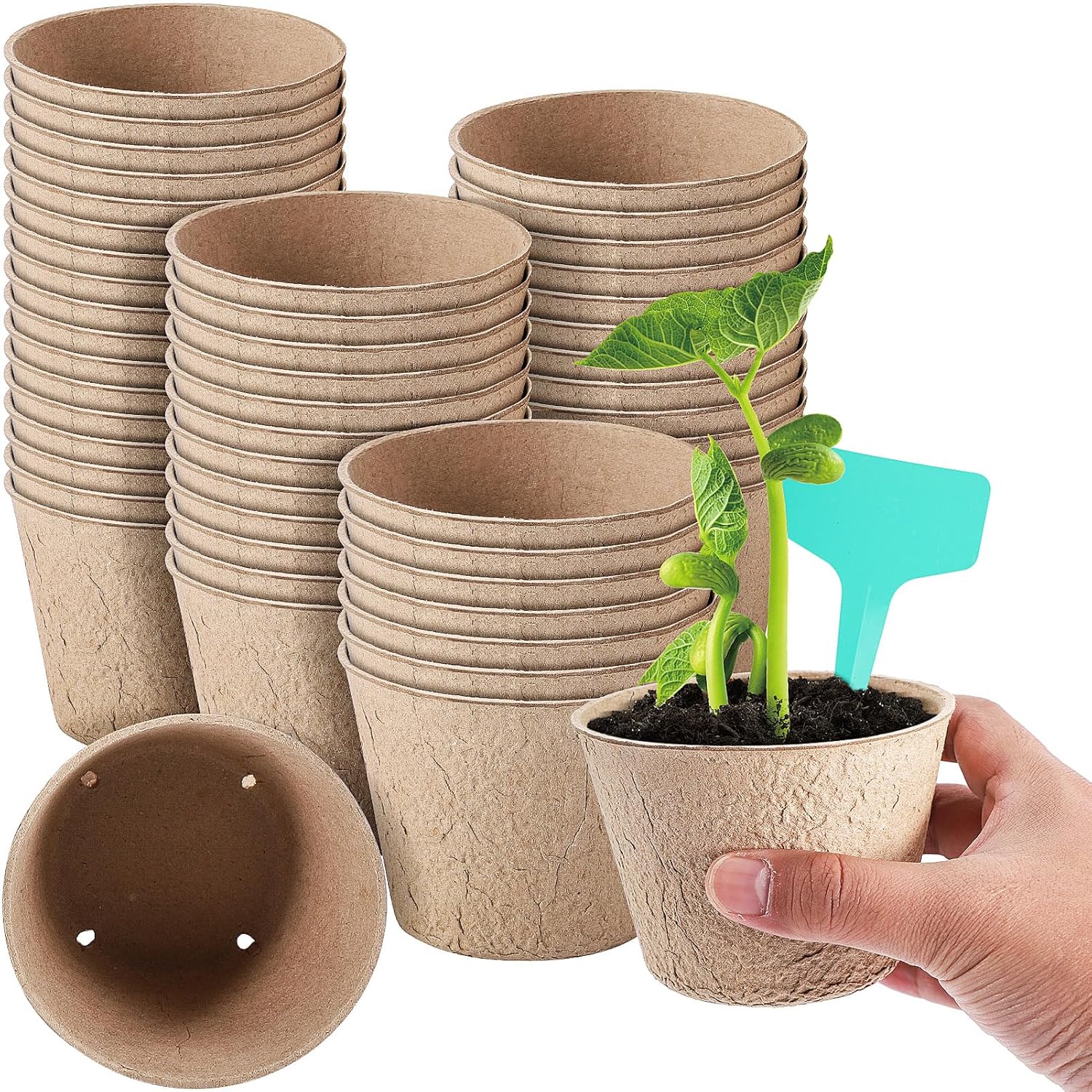 Amazon.com: GROWNEER 50 Packs 4 Inch Peat Pots Plant Starters for ...