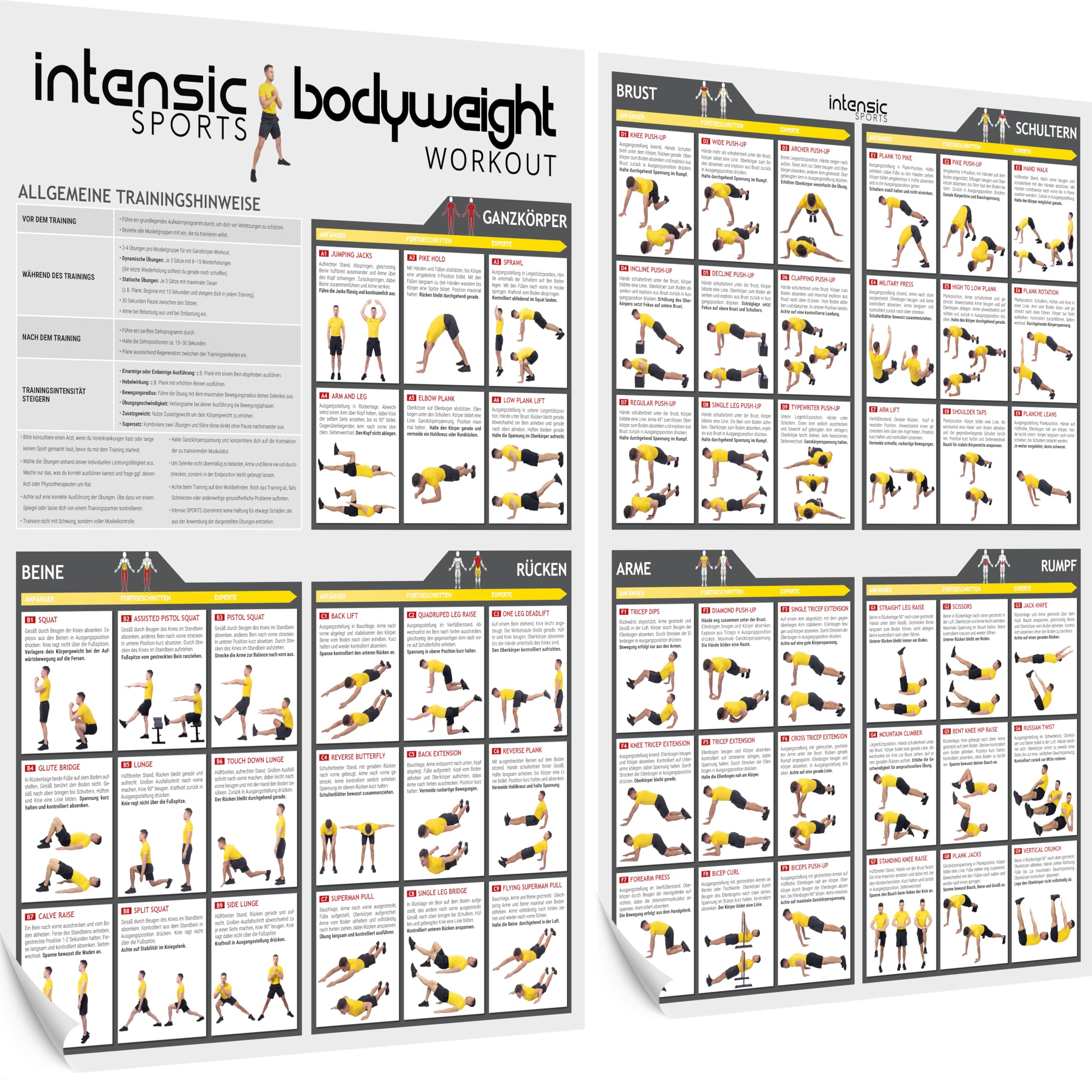 intensic SPORTS Bodyweight Workout Poster | 60 Fitness-Übungen für Kraft-training zuhause fit ...