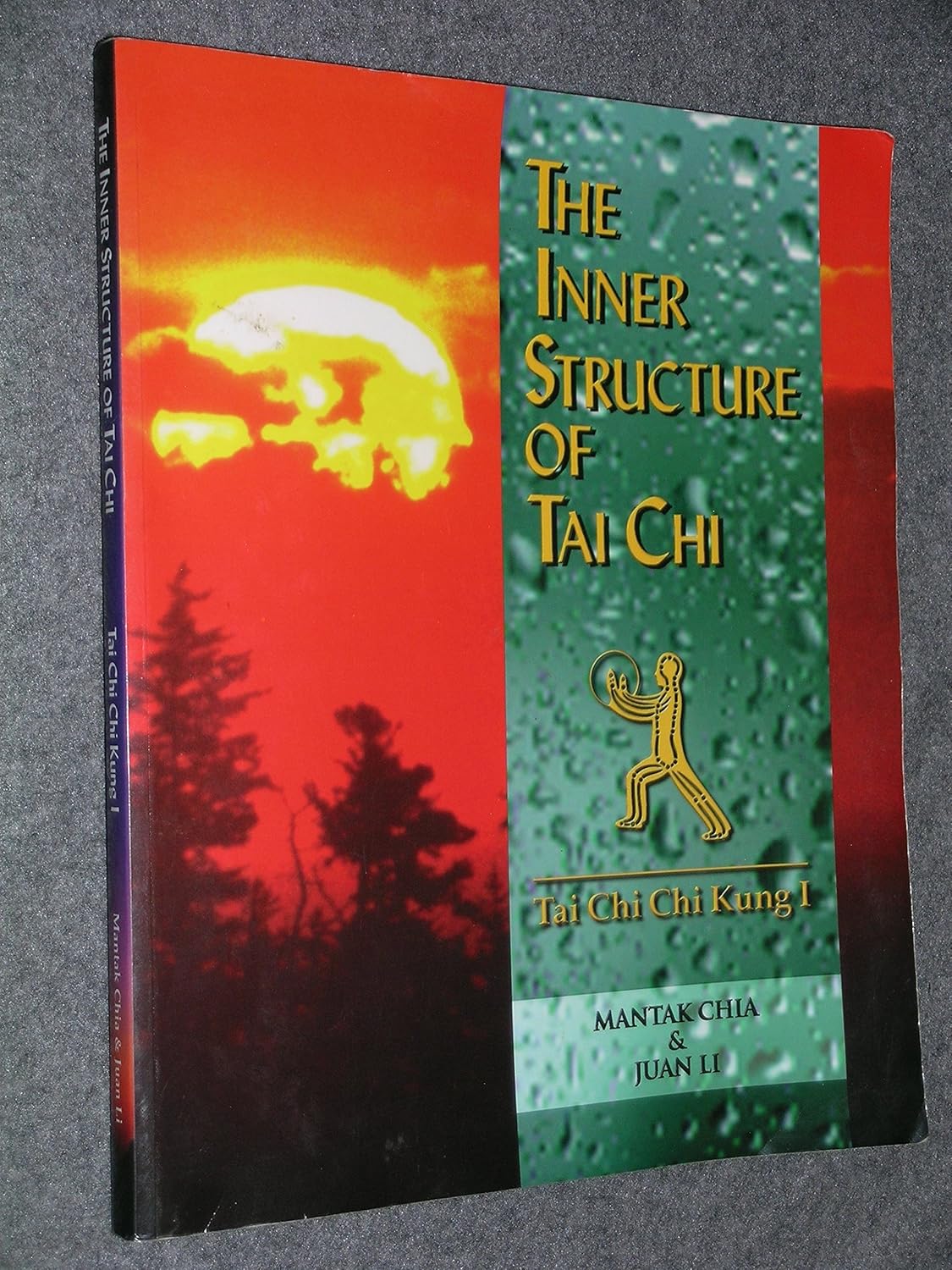 Amazon | The Inner Structure of Tai Chi: Tai Chi Chi Kung I | Martial Arts
