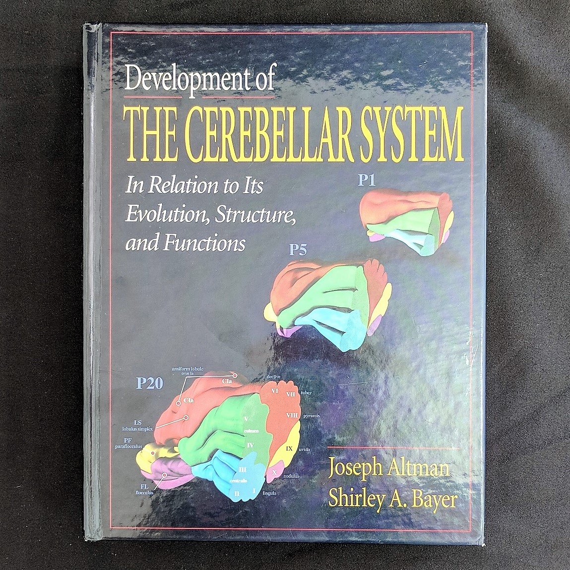 Amazon | Development of the Cerebellar System: In Relation to Its Evolution, Structure, and ...