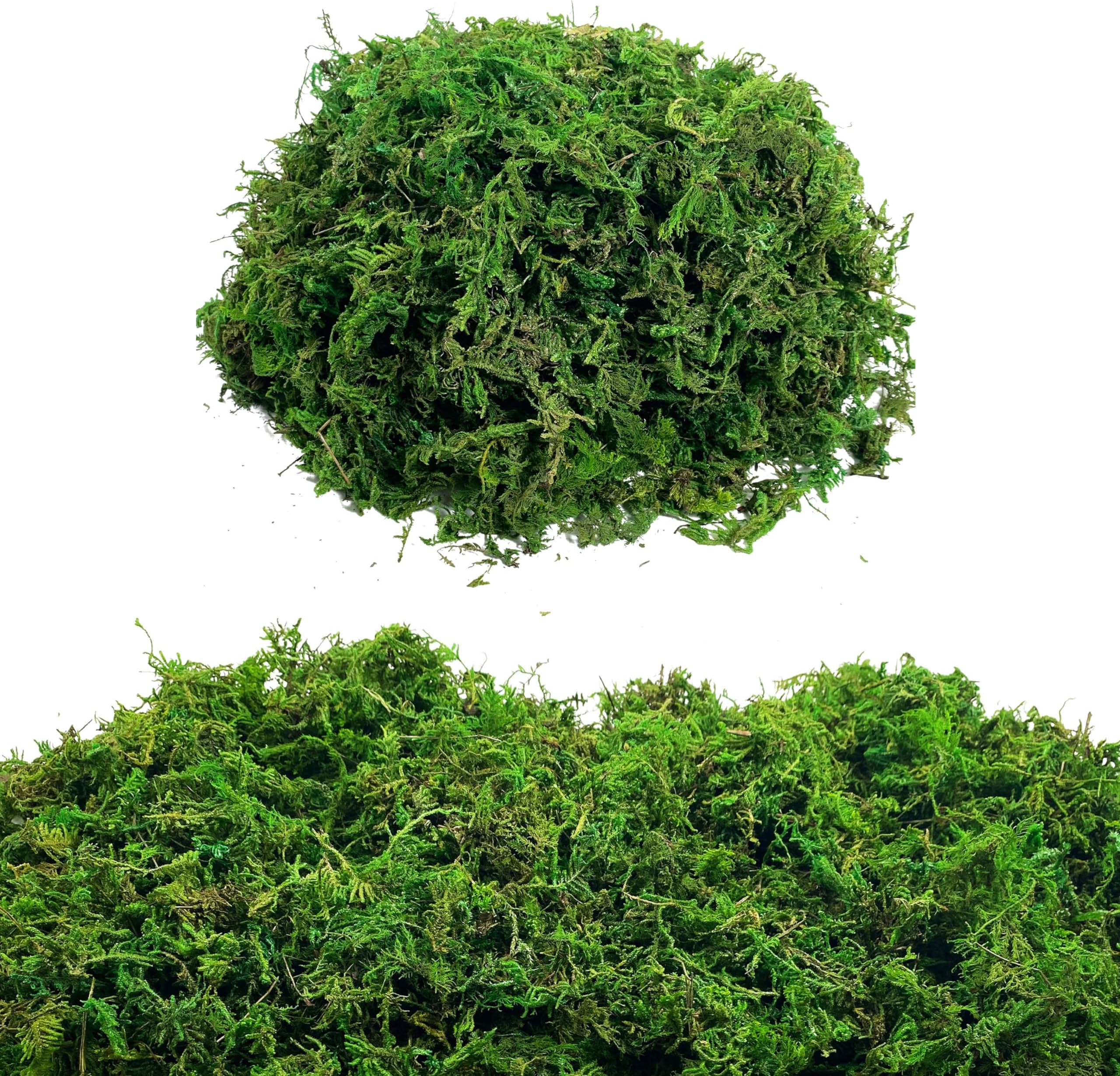 Amazon.com: Usmola Artificial Fake Moss, 8OZ Craft Moss for Potted ...