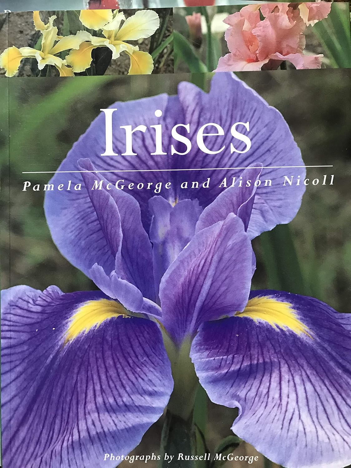 Irises: McGeorge, Pamela, Nicoll, Alison, McGeorge, Russell: 9781552095065: Amazon.com: Books