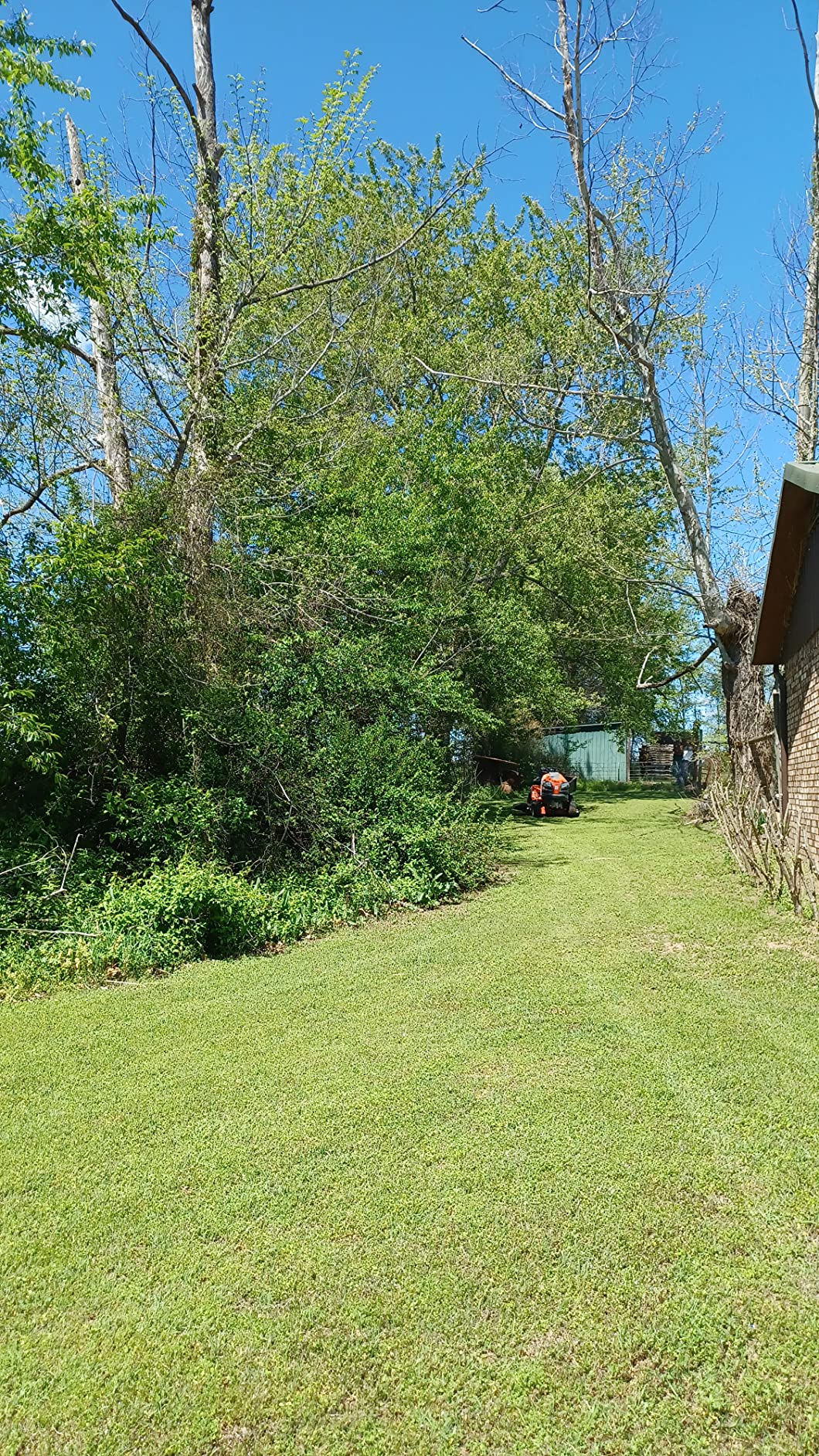 $22/mo - Finance Saker Mini Chainsaw,6 Inch Portable Electric Chainsaw ...