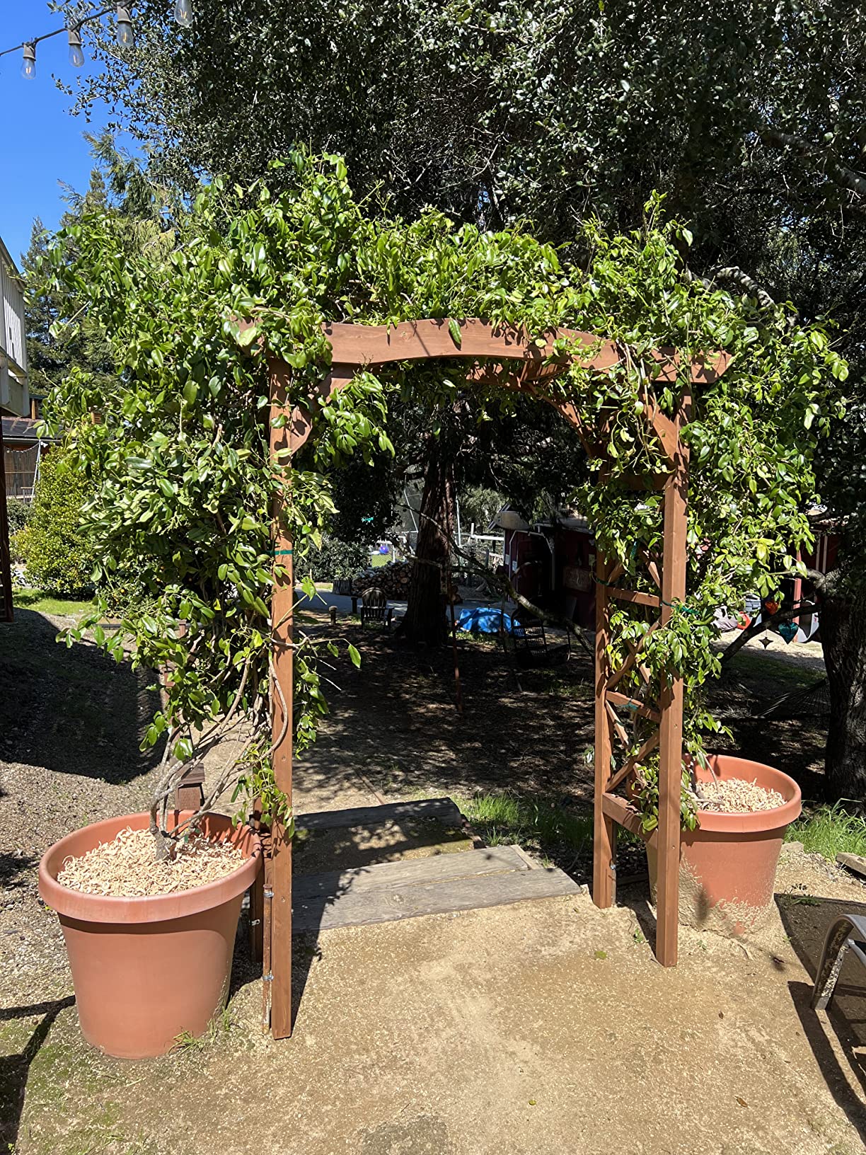 $24/mo - Finance northbeam ARB0182211910 Venice Arbor, Natural | Buy ...