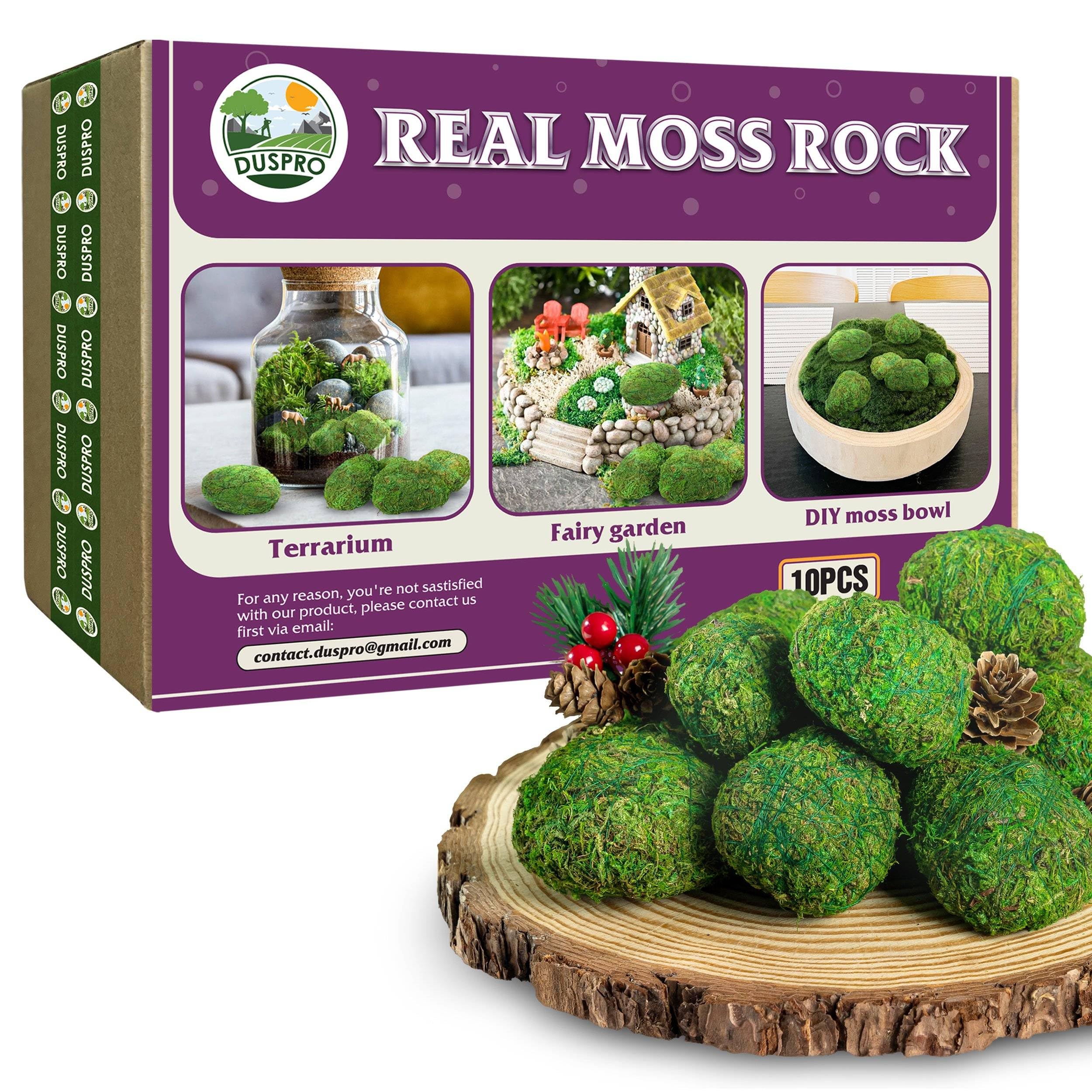 Amazon.com: Duspro Moss Rocks Decorative, Moss Stones, Green Moss Balls ...