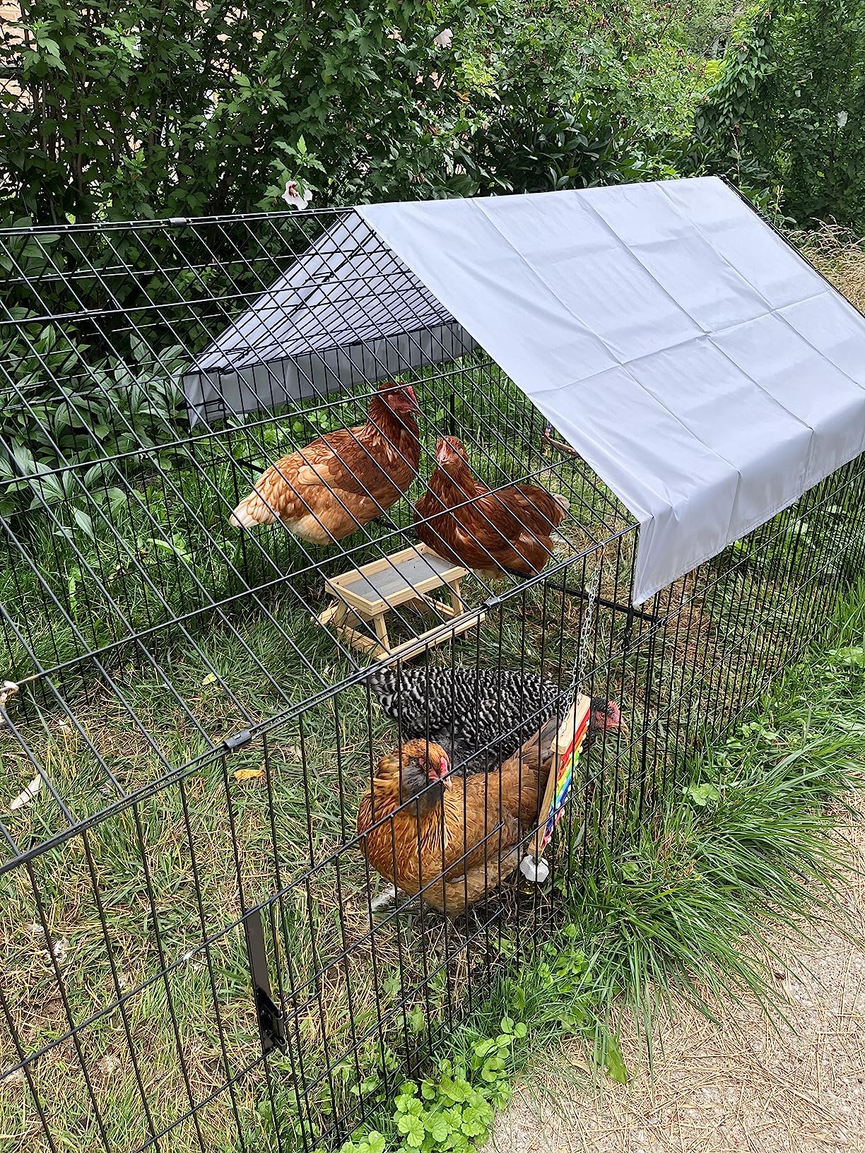$17/mo - Finance 86"×40"×39" Metal Chicken Coop Run for Chickens, Duck ...