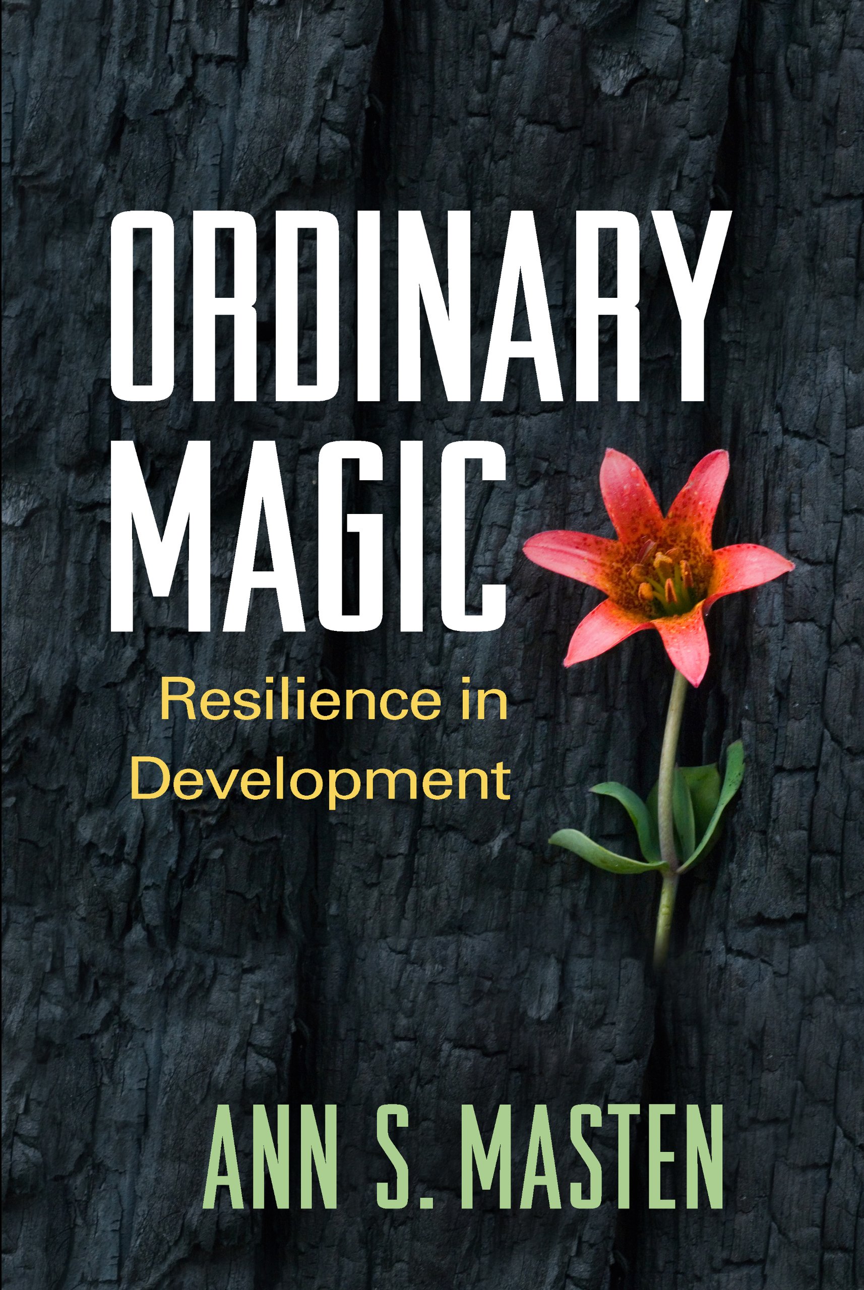 Ordinary Magic: Resilience in Development: 9781462523719: Medicine ...