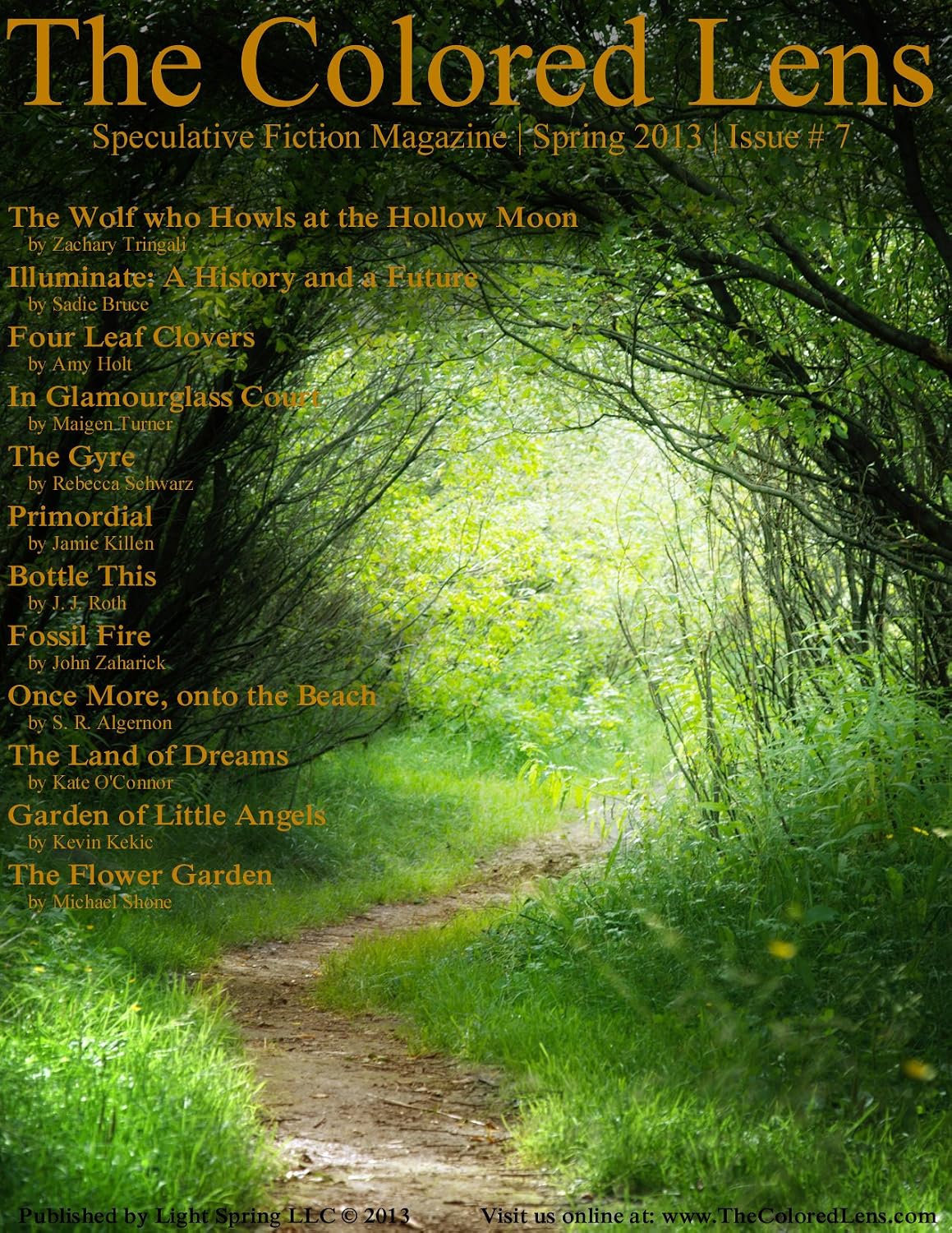 Amazon.com: The Colored Lens: Spring 2013 eBook : Zaharick, John, Holt ...