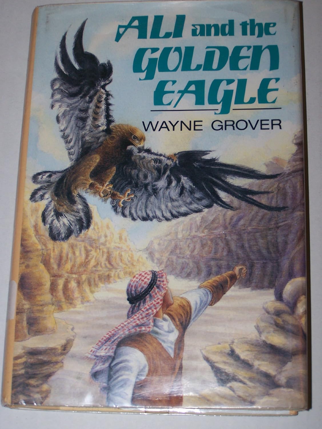 Ali and the Golden Eagle: Grover, Wayne: 9780688113858: Books - Amazon.ca