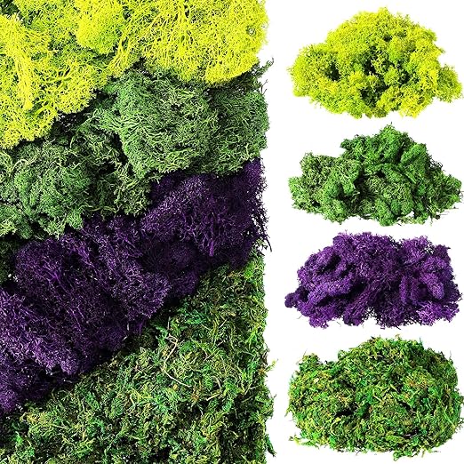 Amazon.com: Woanger 14 oz Preserved Moss for Crafts 4 Colors Reindeer ...