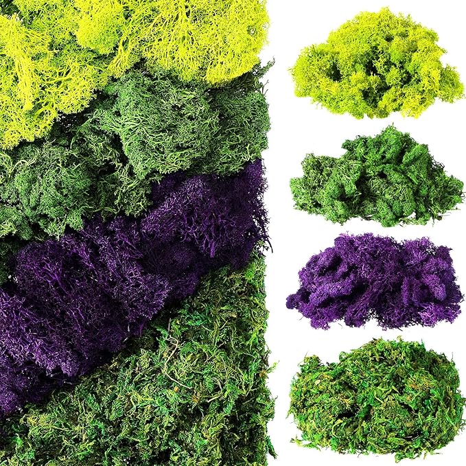 Amazon.com: Woanger 14 oz Preserved Moss for Crafts 4 Colors Reindeer ...