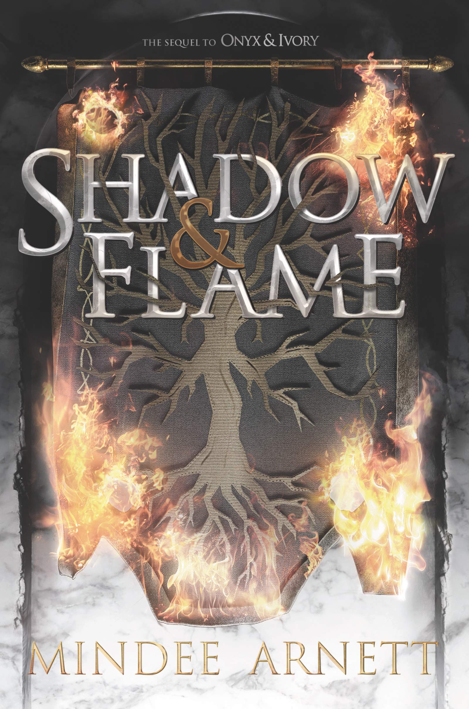 Amazon.com: Shadow & Flame (Rime Chronicles): 9780062652690: Arnett ...