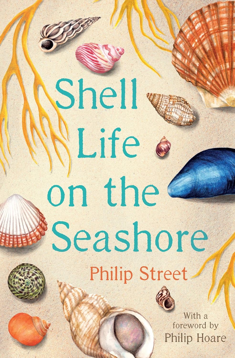 Shell Life on the Seashore : Street, Philip: Amazon.de: Bücher