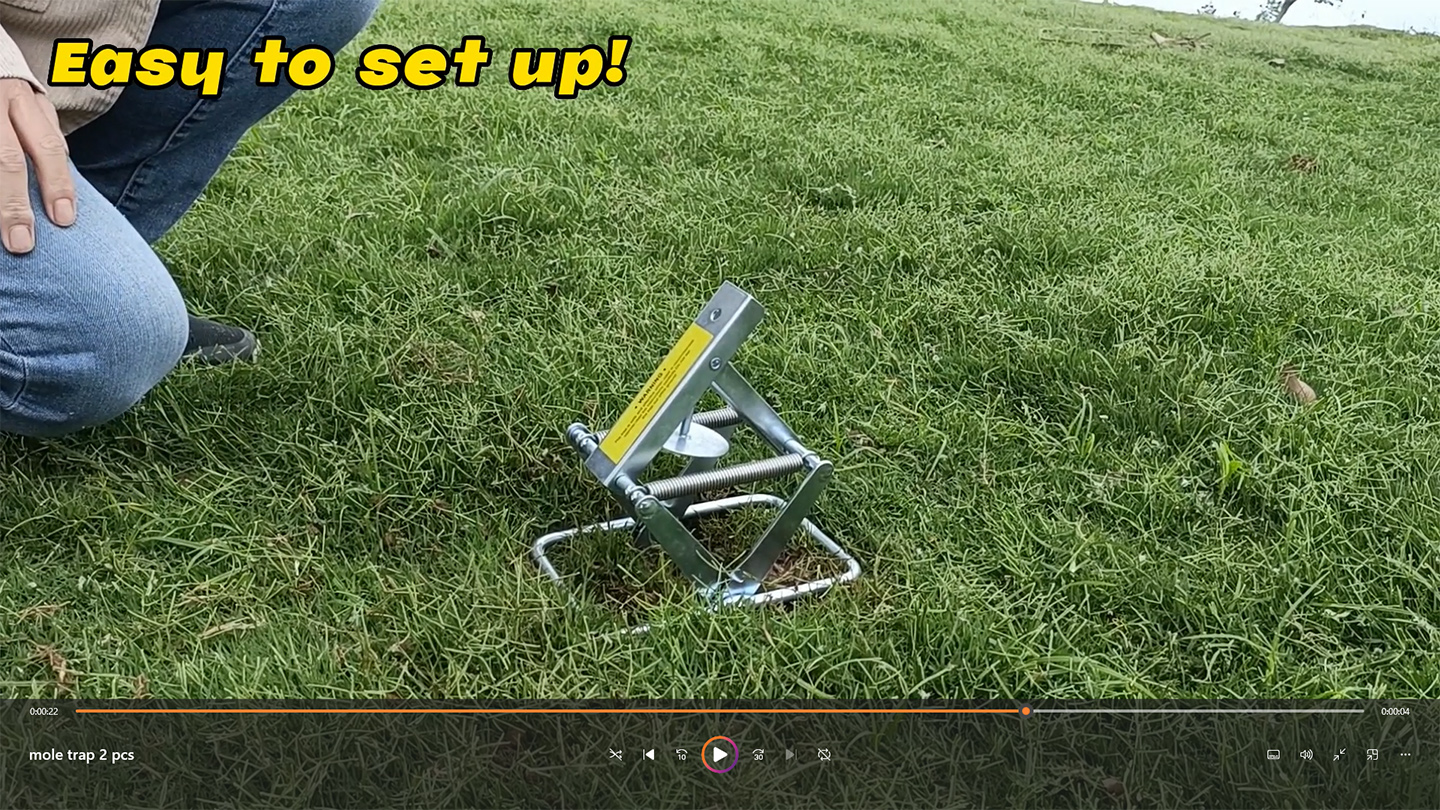 Watch how to set Scissor-Jawed Mole Trap on Amazon Live