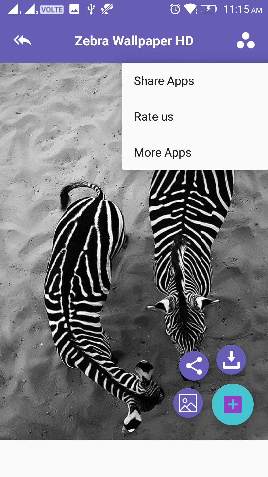 Zebra 4k Wallpaper - App on Amazon Appstore