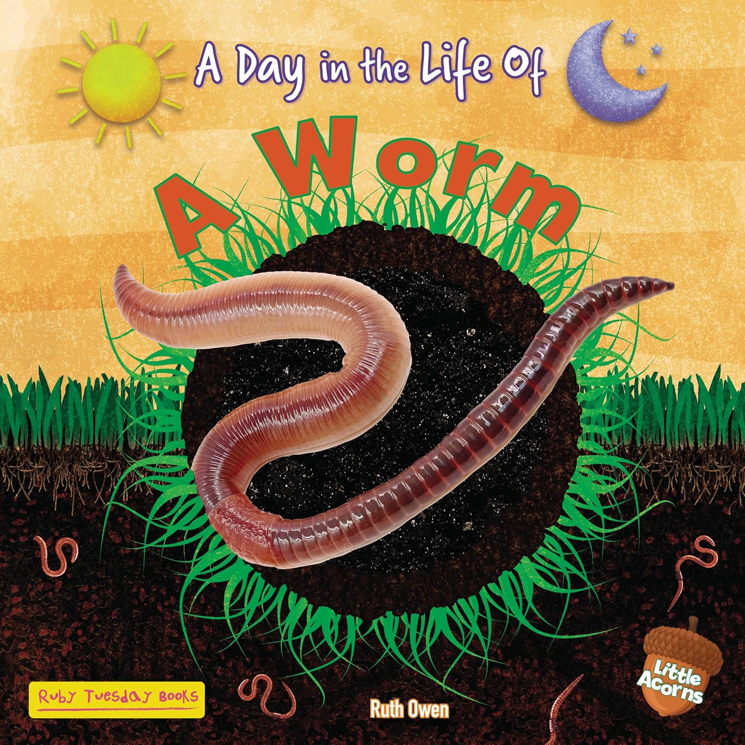 A Worm (A Day in the Life Of (Little Acorns)): Owen, Ruth ...