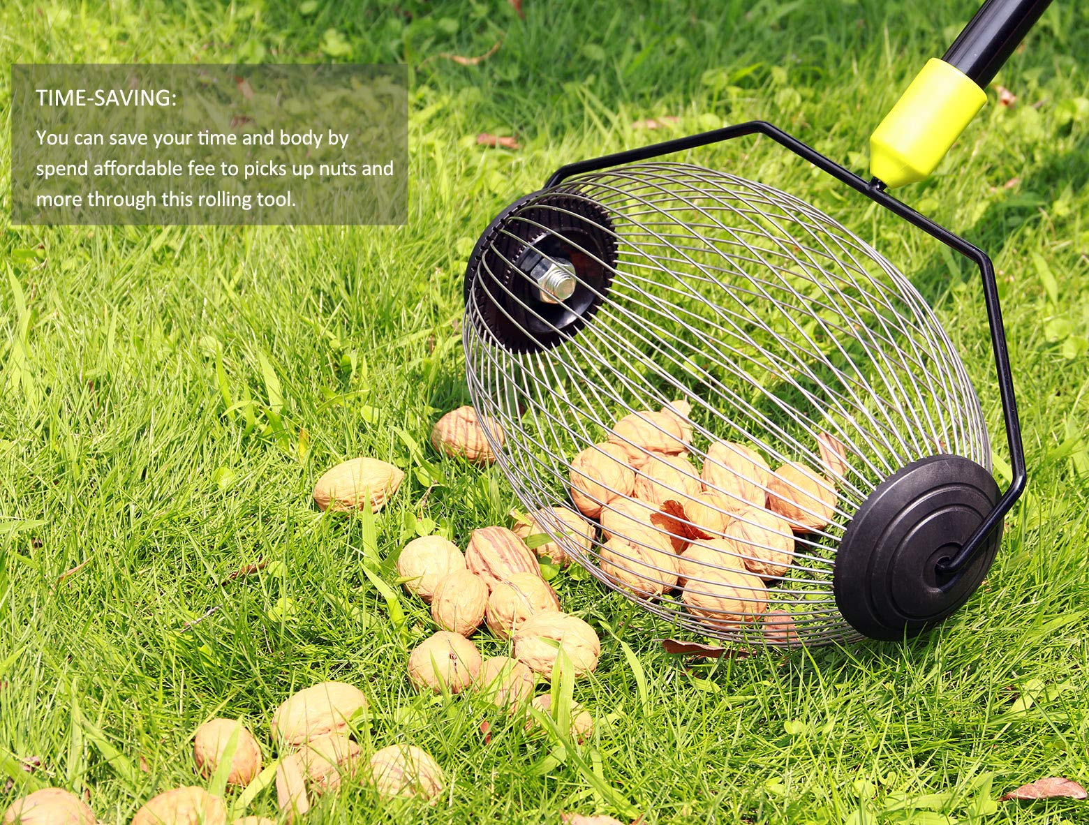 ORIENTOOLS Nut Gatherer, Garden Rolling Nut Harvester, Picks up Balls ...