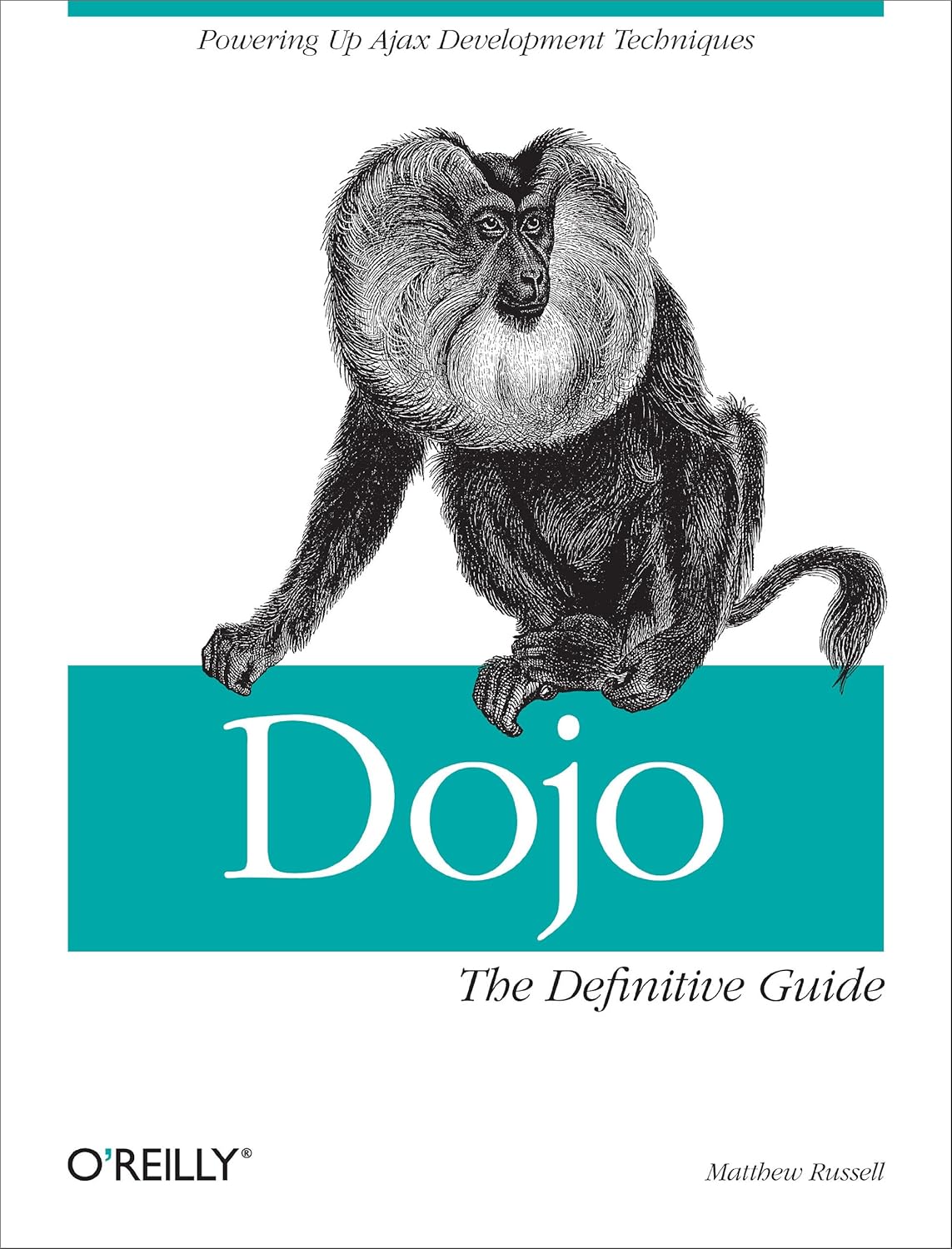 Dojo: The Definitive Guide: Matthew A. Russell: 9780596516482: Amazon ...