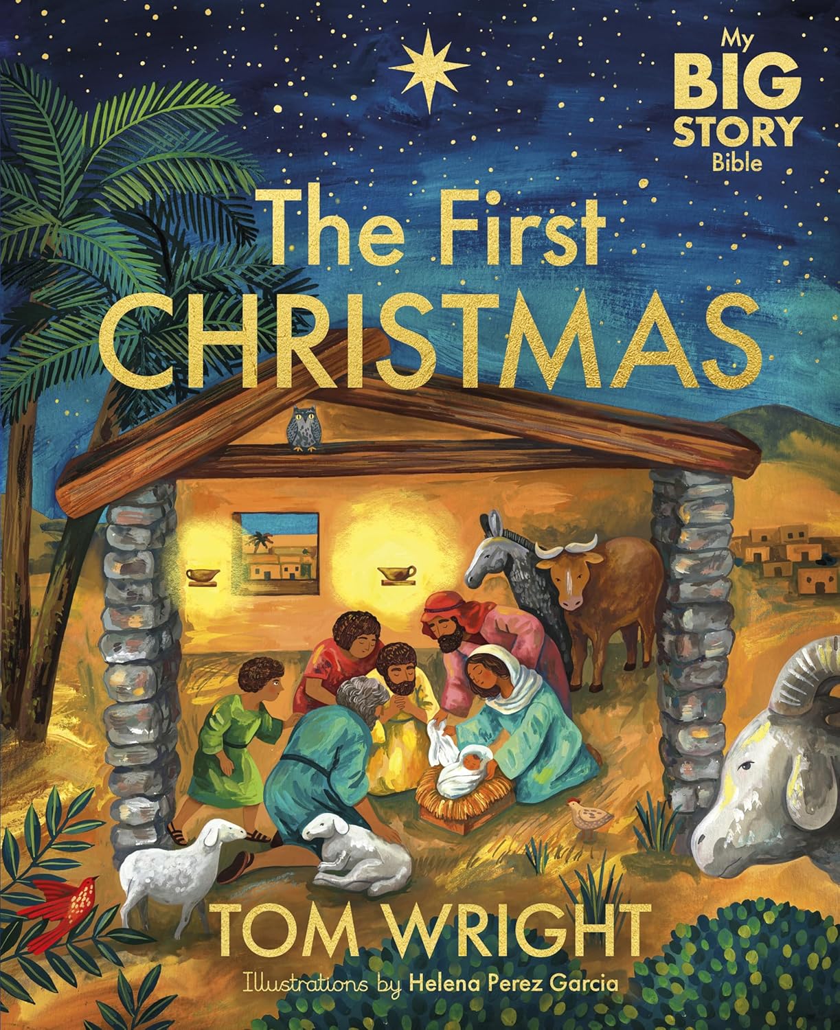My Big Story Bible: The First Christmas : Wright, Tom: Amazon.co.uk: Books