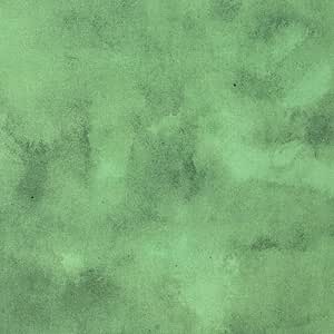 Amazon.com: Mook Fabrics Cotton Blenders Shaded Delight, Green Cut by ...