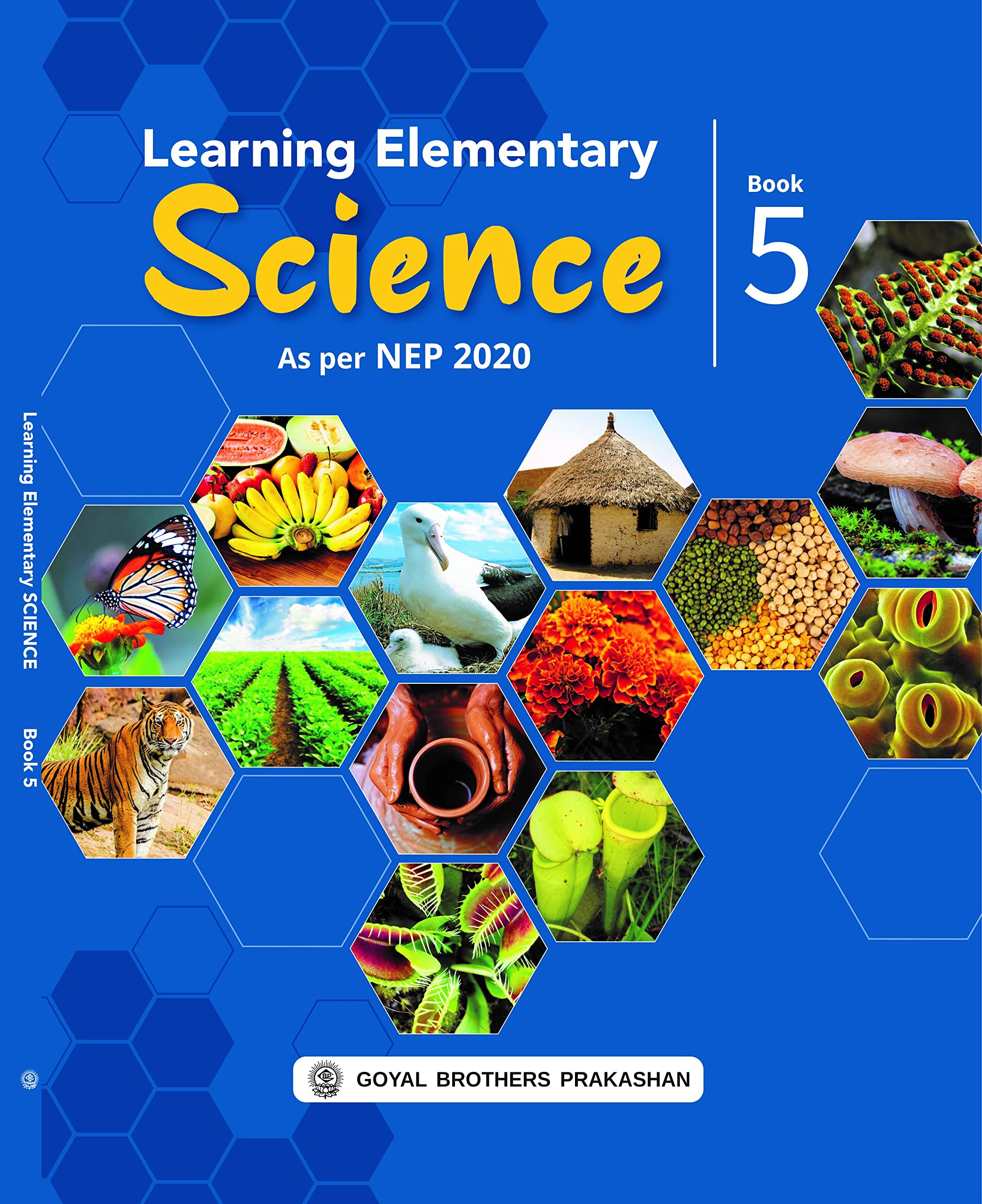 Learning Elementary Science for Class 5 : V.K. Sally: Amazon.in: Books