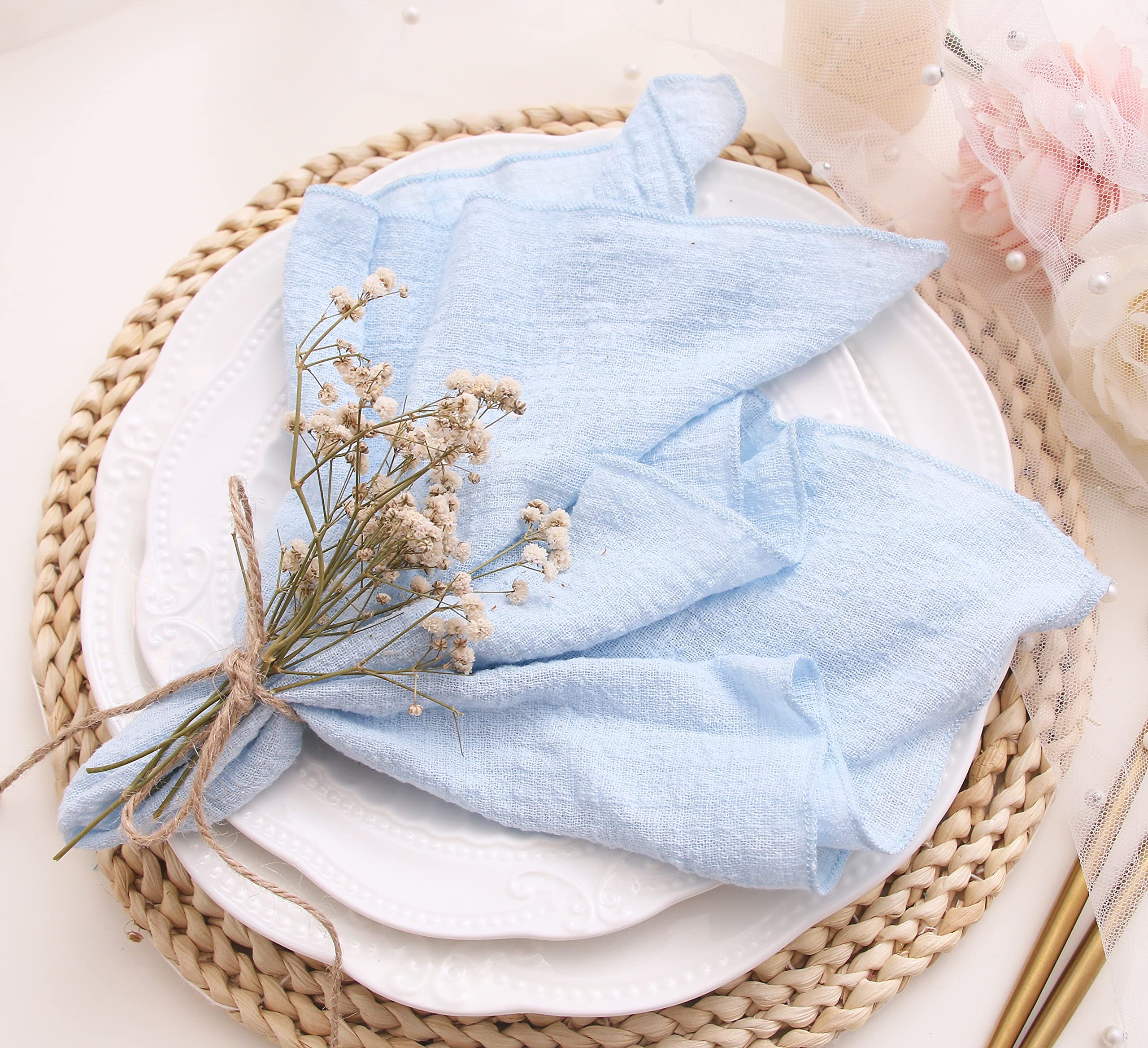 Amazon.com: Dinner Cloth Napkins Set of 10,100% Natural Soft Cotton ...