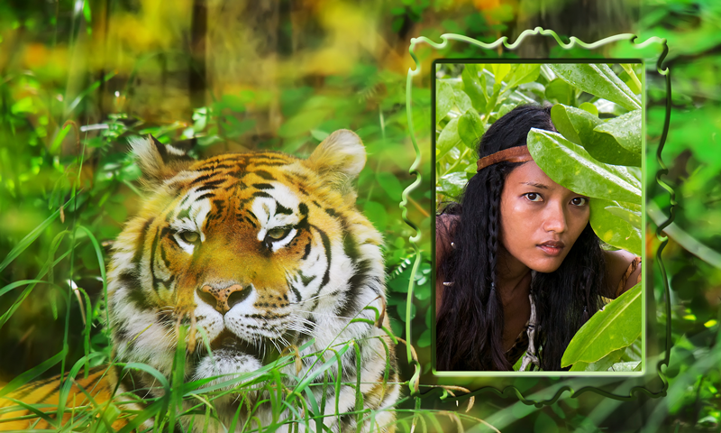 Tiger Photo Frames - App on Amazon Appstore