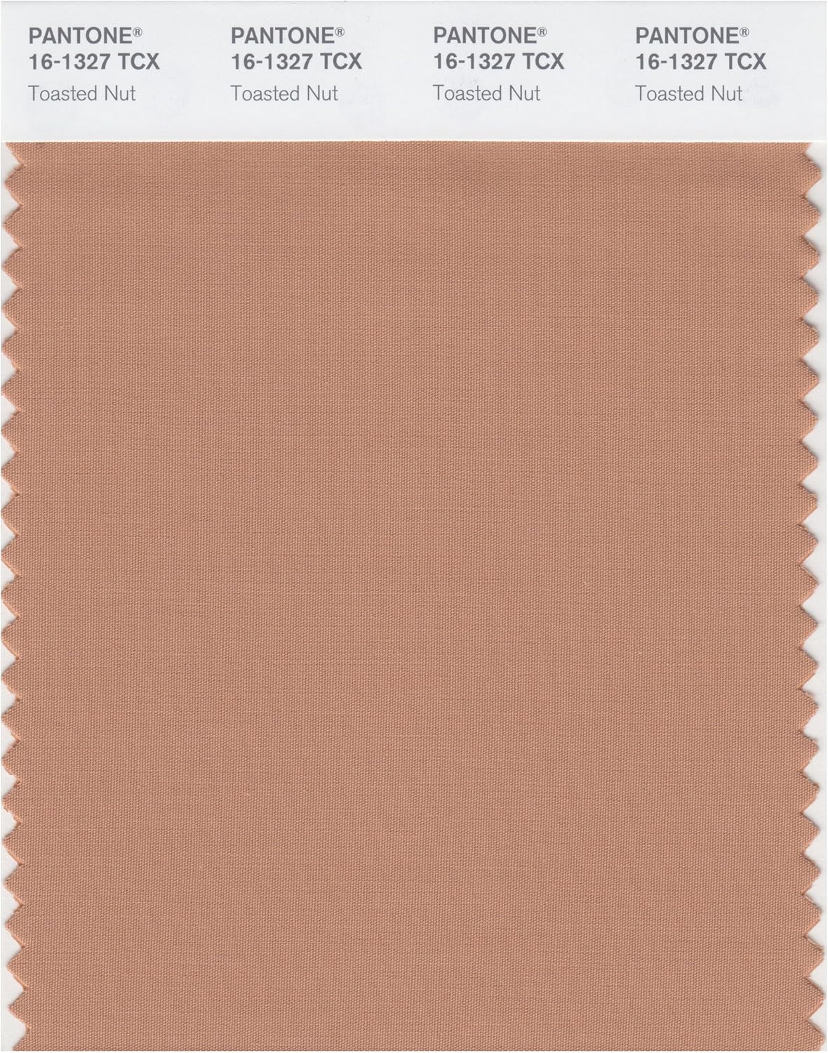 (Toasted Nut) - PANTONE SMART 16-1327X Colour Swatch Card, Toasted Nut ...