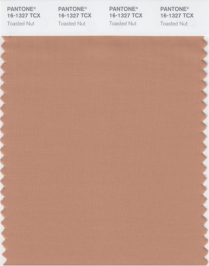 Amazon.com: PANTONE Smart 16-1327X Color Swatch Card, Toasted Nut ...