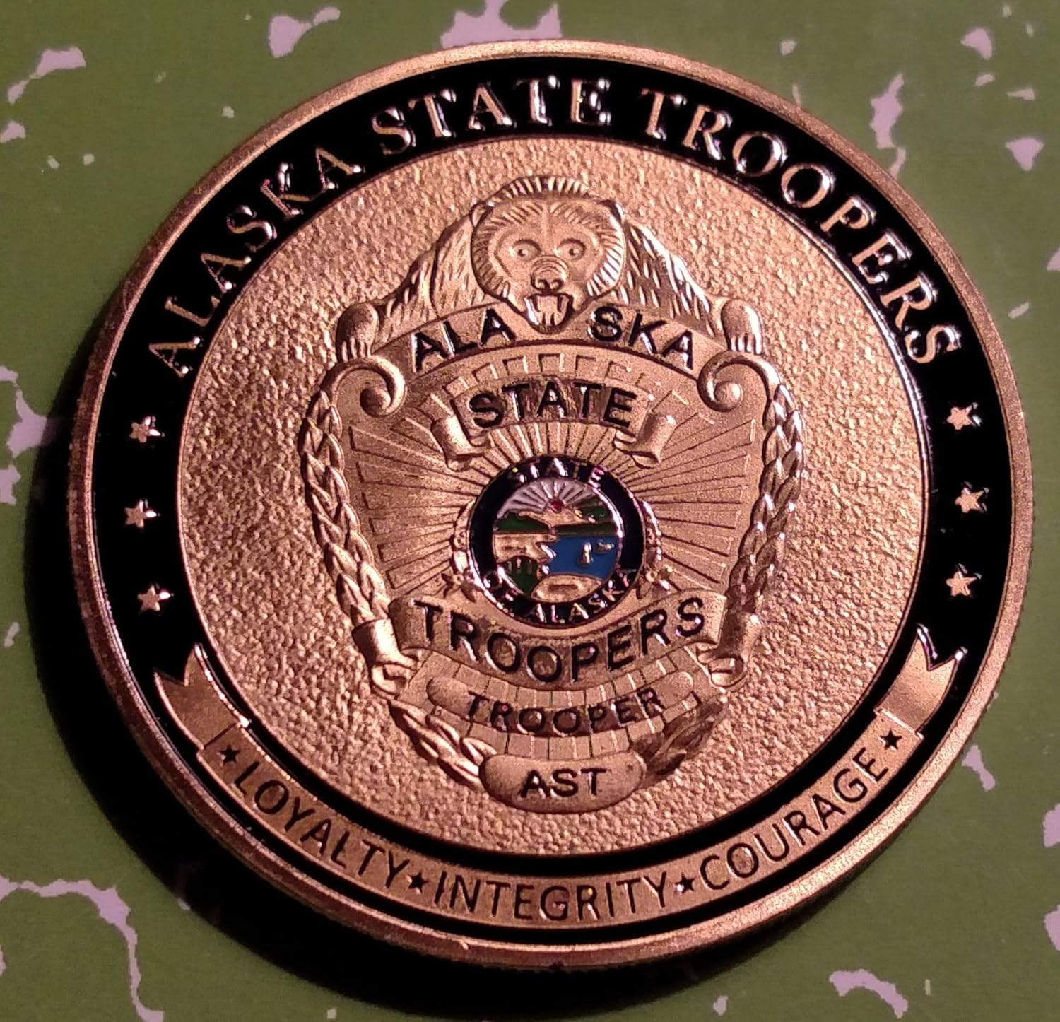 Amazon.com: Alaska State Highway Patrol Police Department Challenge Art ...
