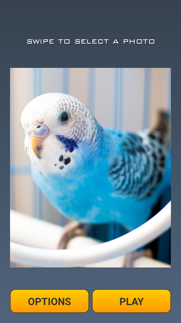 Cute Birds Puzzle - App on Amazon Appstore