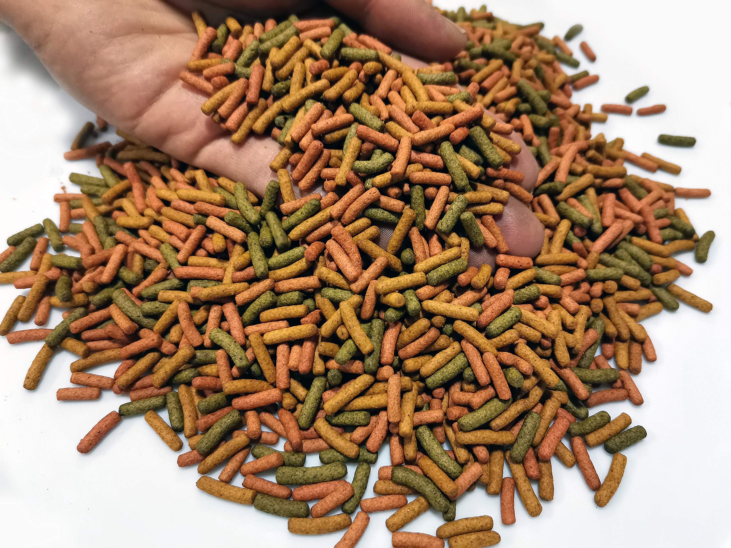 (200g) Premium Turtle, Terrapin, Reptile Pellets Food, Water, Aquatic ...