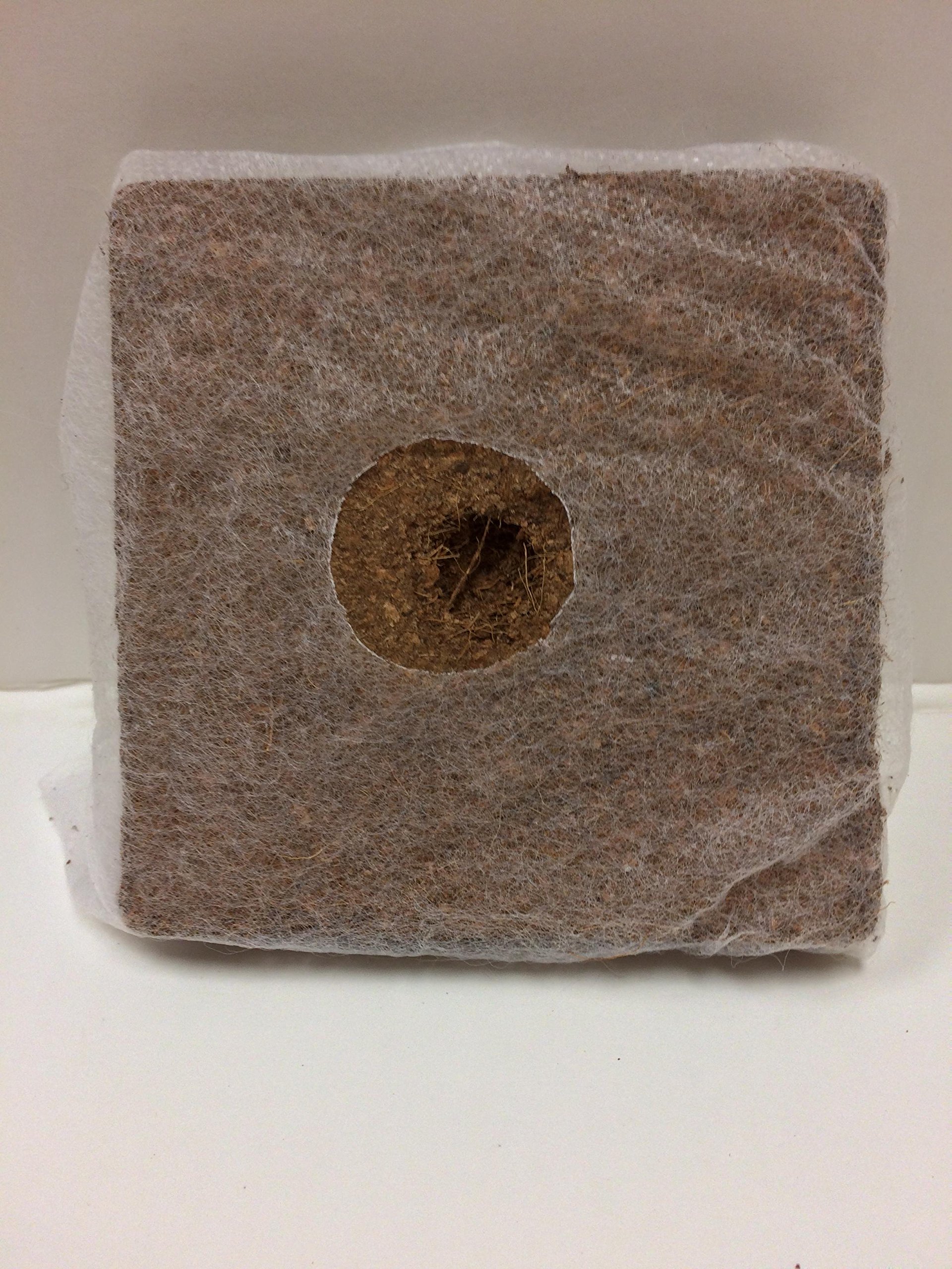 Amazon.com : EnRoot Products Coco Coir Grow Cubes 5 Pack- Perfect for ...