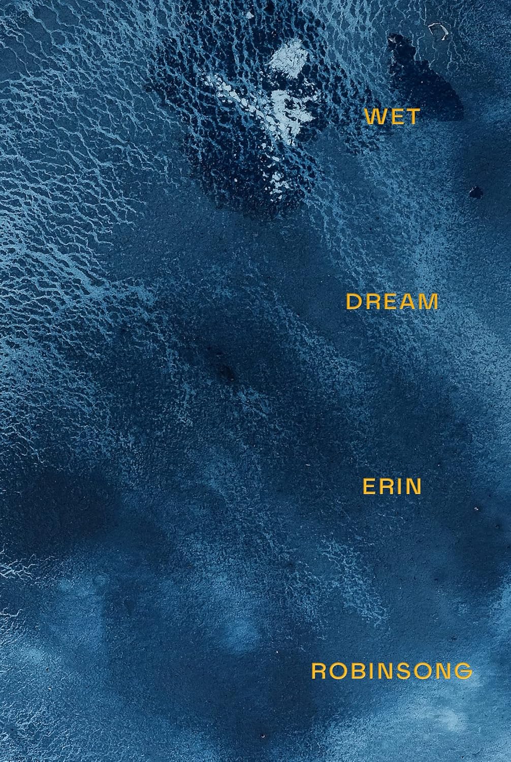 Amazon.com: Wet Dream eBook : Robinsong, Erin: Kindle Store