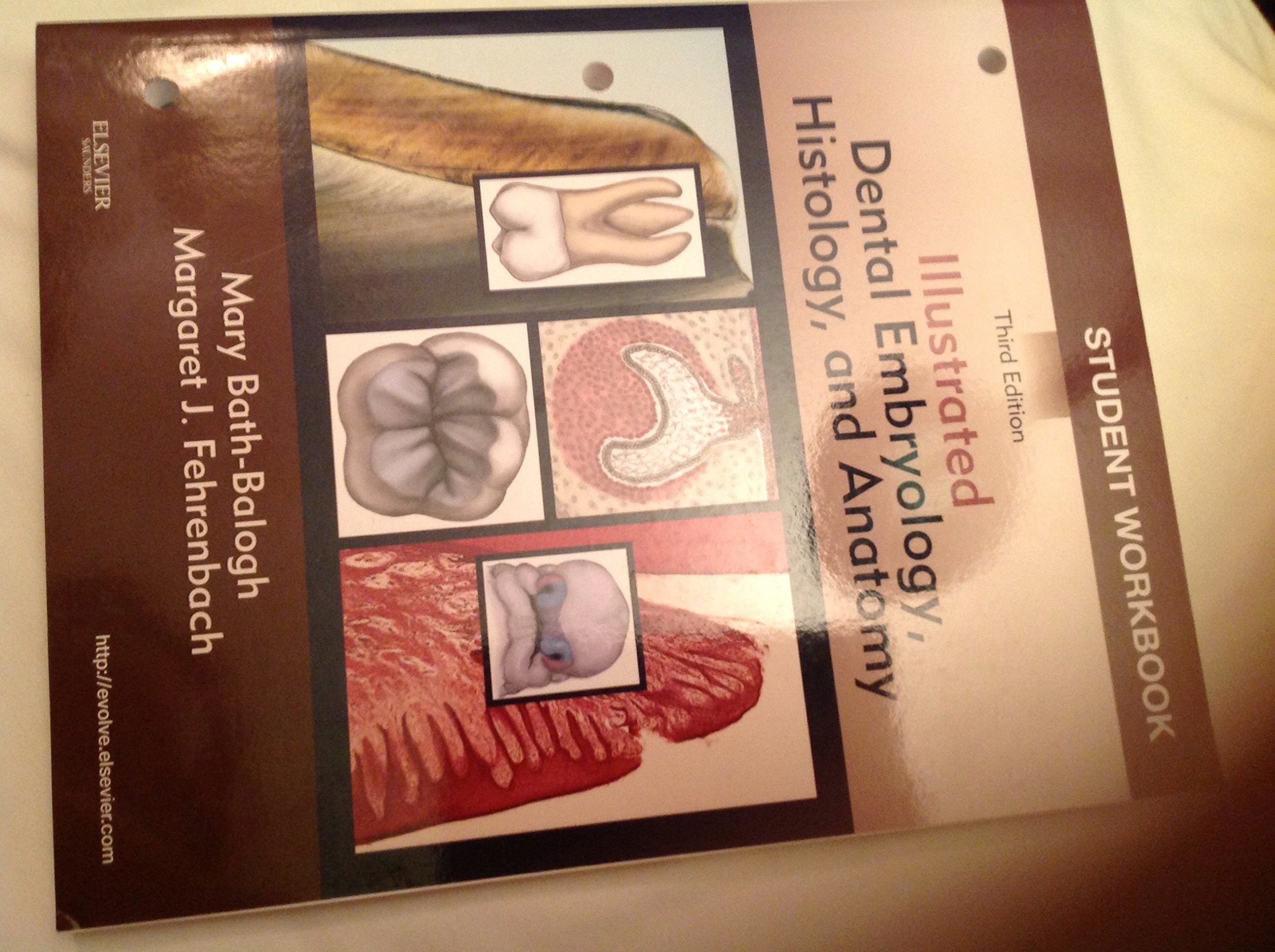 Student Workbook for Illustrated Dental Embryology, Histology and ...