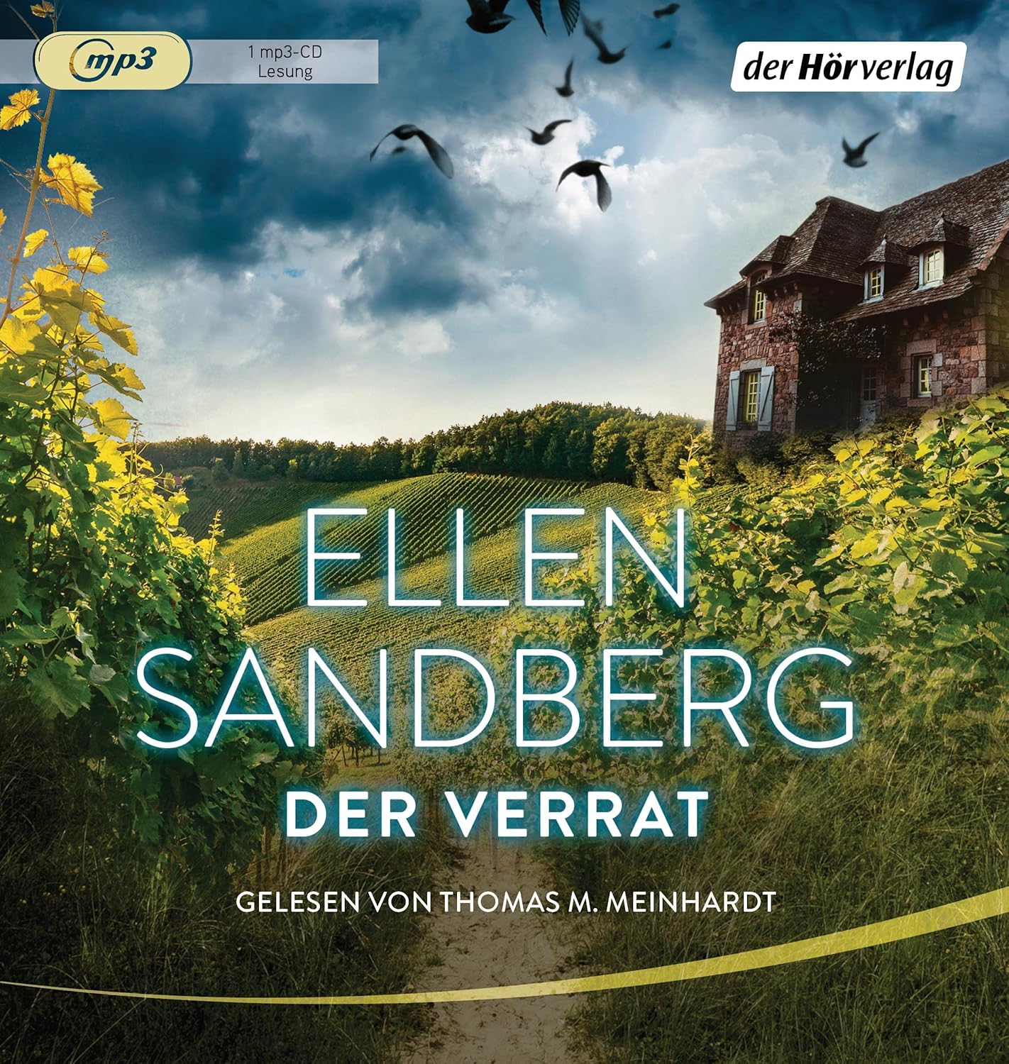 Der Verrat: Roman : Sandberg, Ellen, Meinhardt, Thomas M.: Amazon.com ...