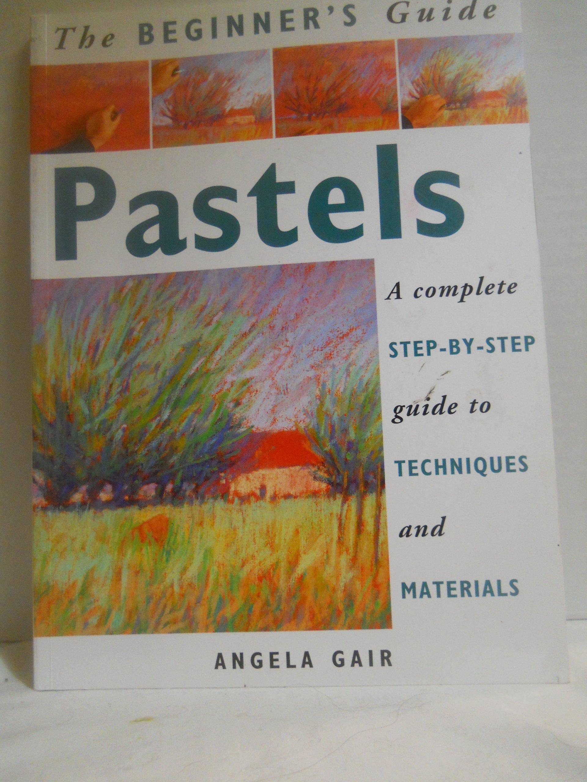 Amazon | The Beginner's Guide Pastels: A Complete Step-By-Step Guide to ...
