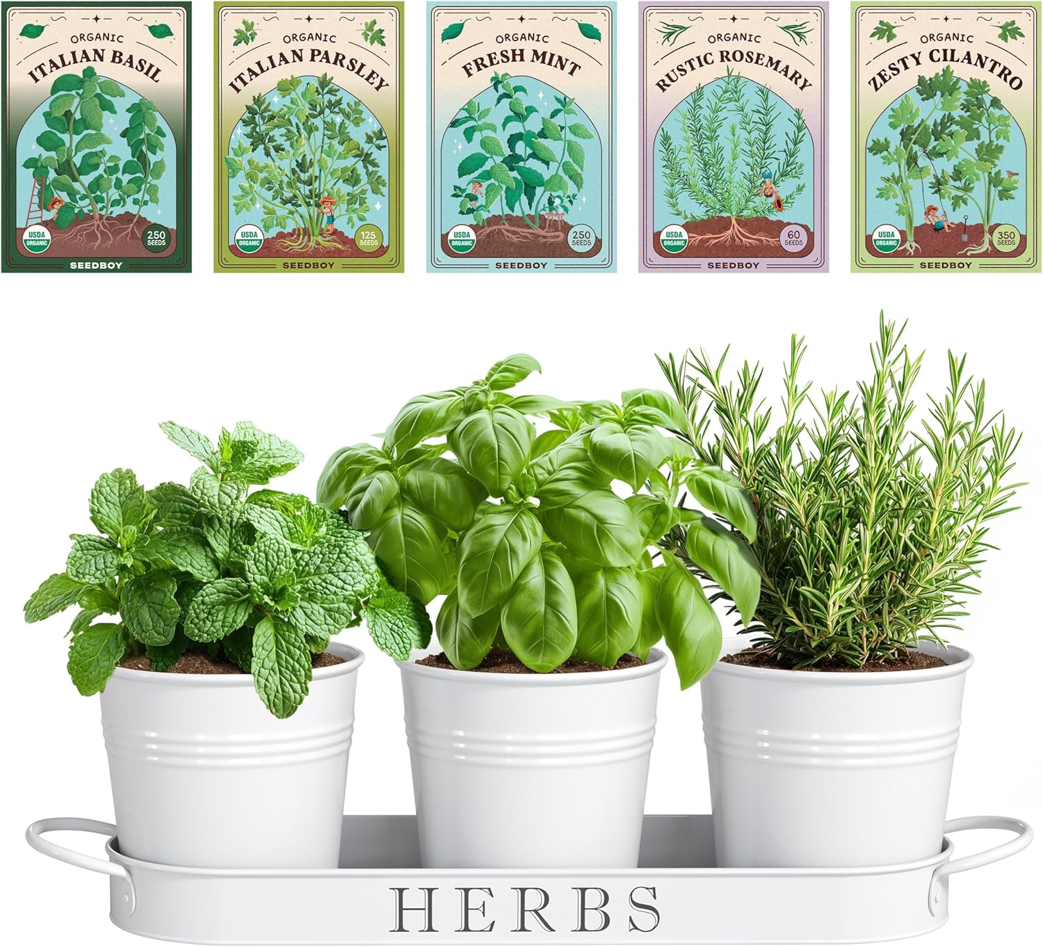 Amazon.com : Barnyard Designs Indoor Herb Garden Planter Set with Tray ...