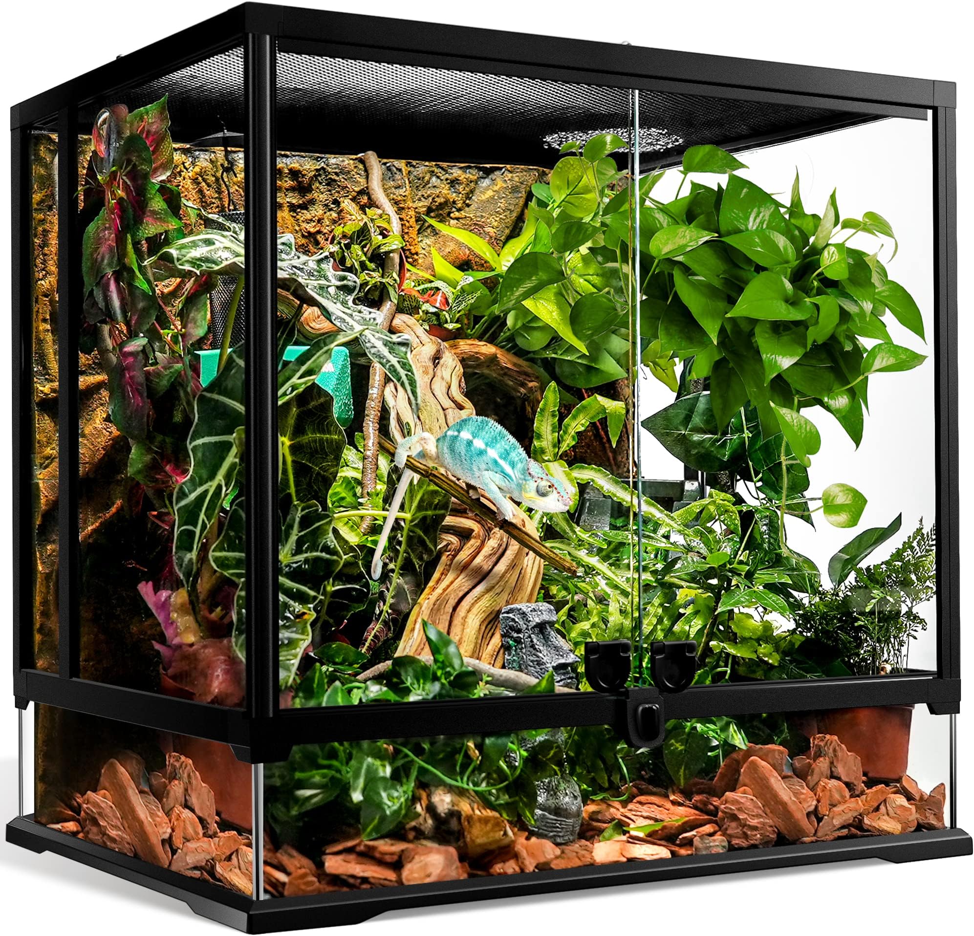 Amazon.com: Exo Terra Glass Natural Terrarium Kit, for Reptiles and ...