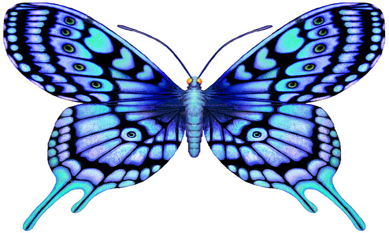 Pattampoochi - App on Amazon Appstore