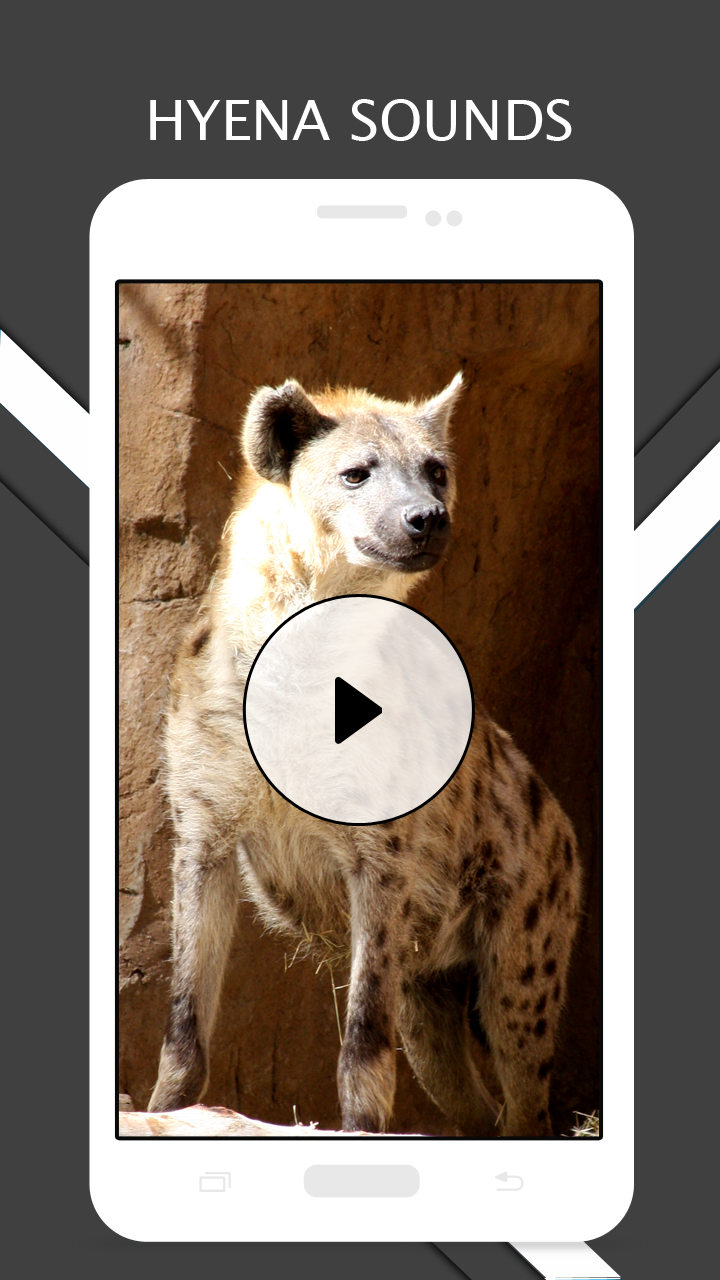Hyena Sounds And Ringtones - App on Amazon Appstore