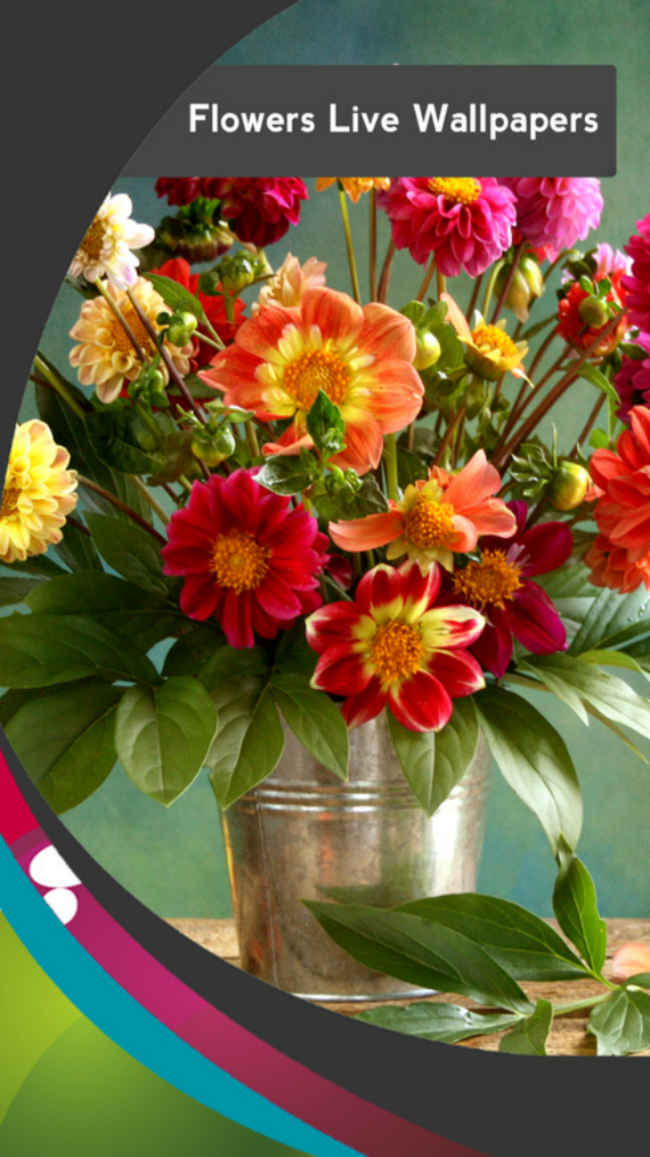 Flowers Live Wallpapers - App on Amazon Appstore