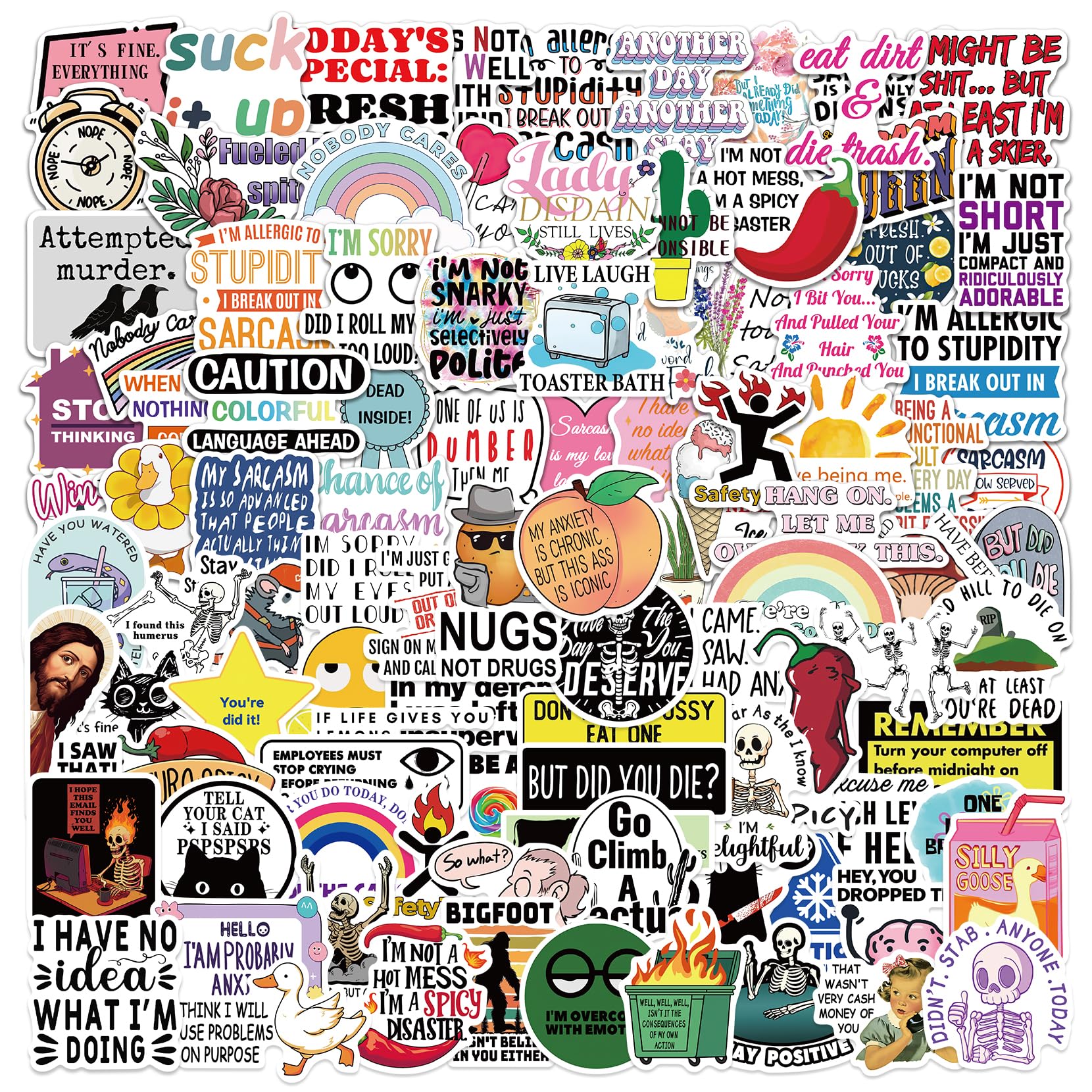Leisitator 100 PCS Funny Snarky Stickers for Adults, Sarcastic Stickers ...