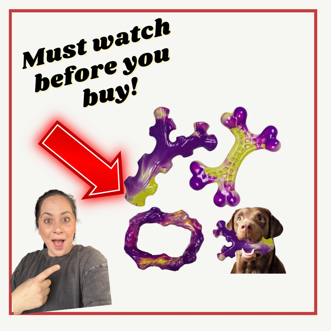 Watch Watch my honest review on dog chew toys! #ad on Amazon Live