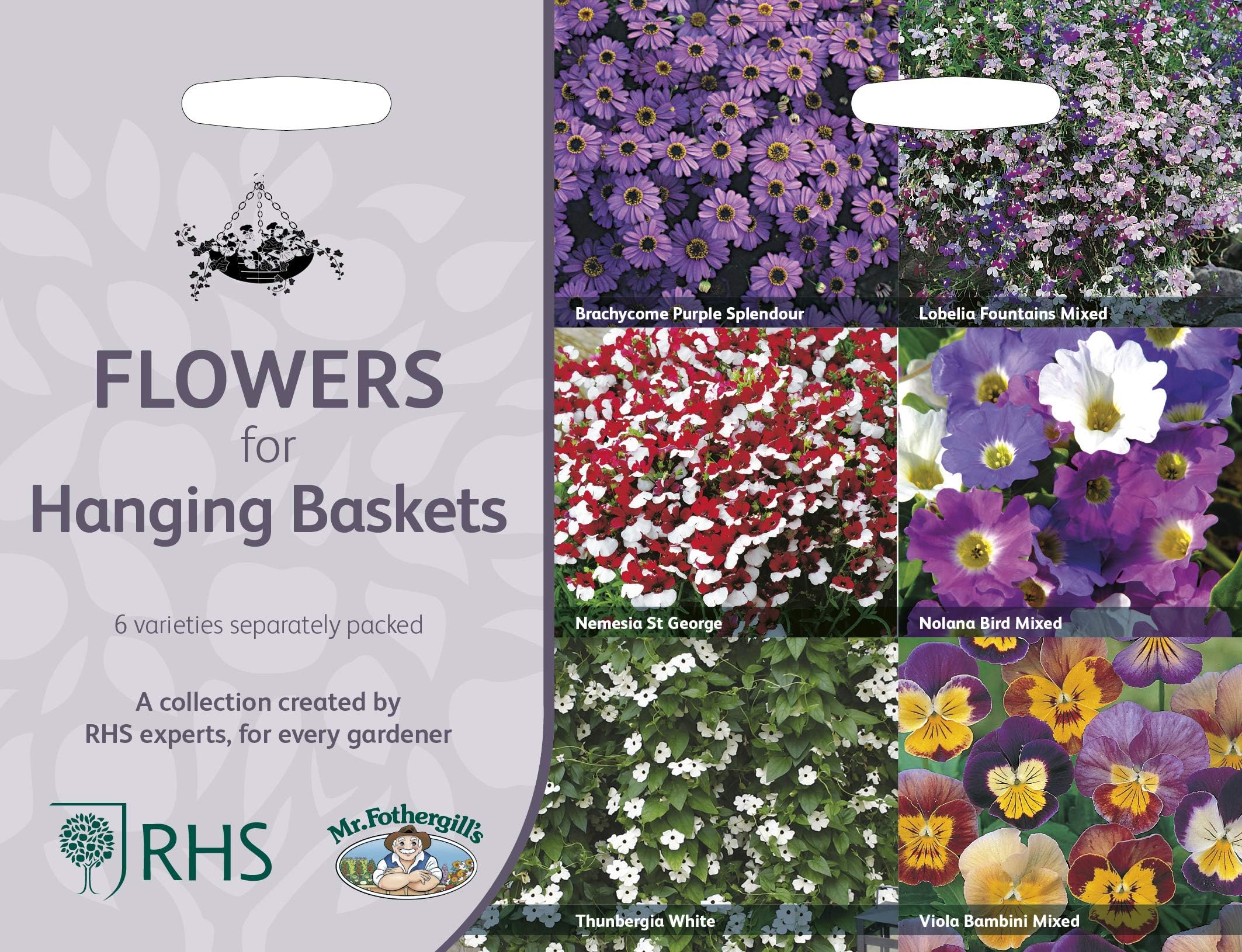 RHS Flowers for Hanging Baskets 6 Varieties Seed Collection : Amazon.co ...